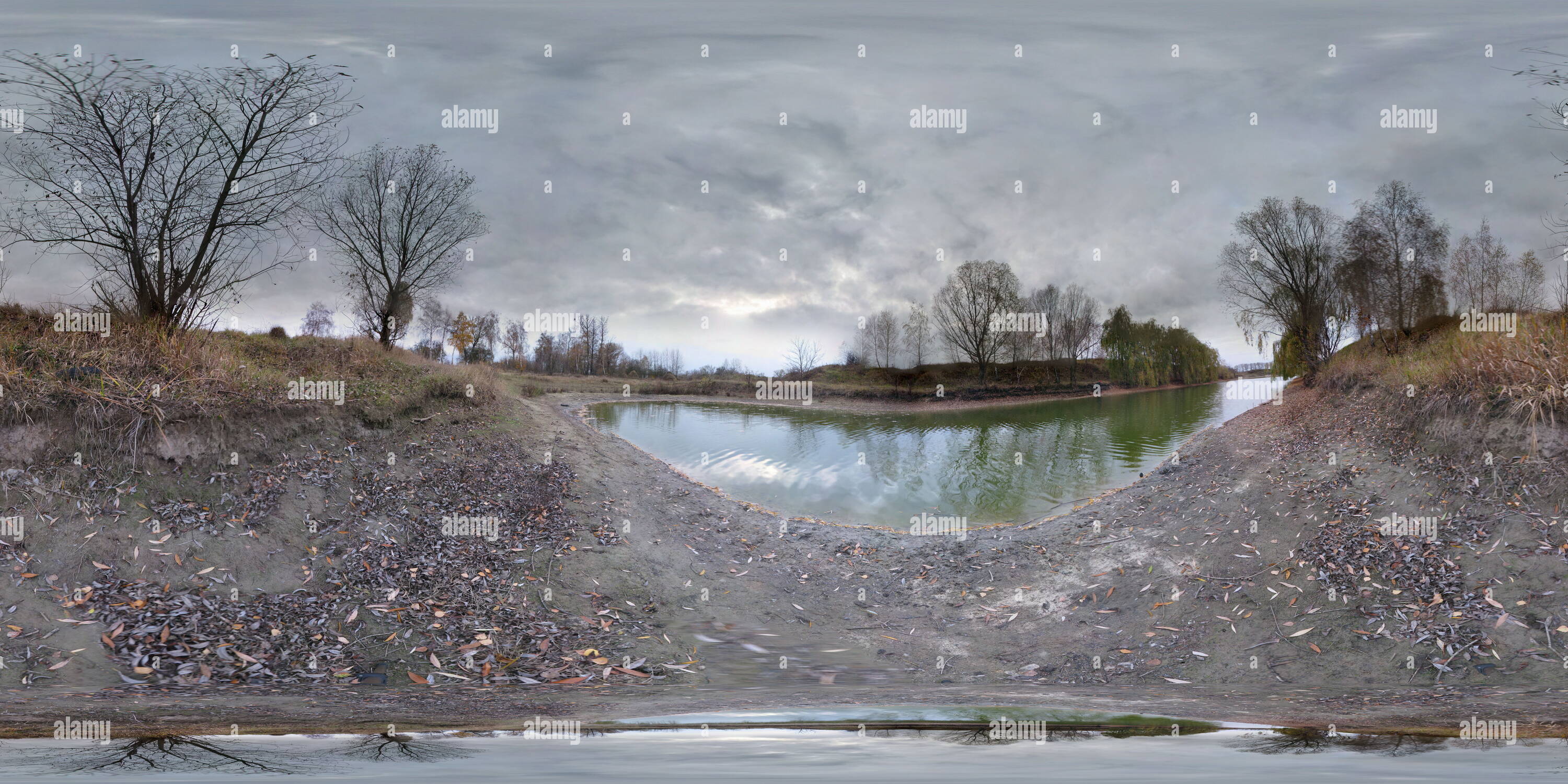 Lyska hi-res stock photography and images - Alamy