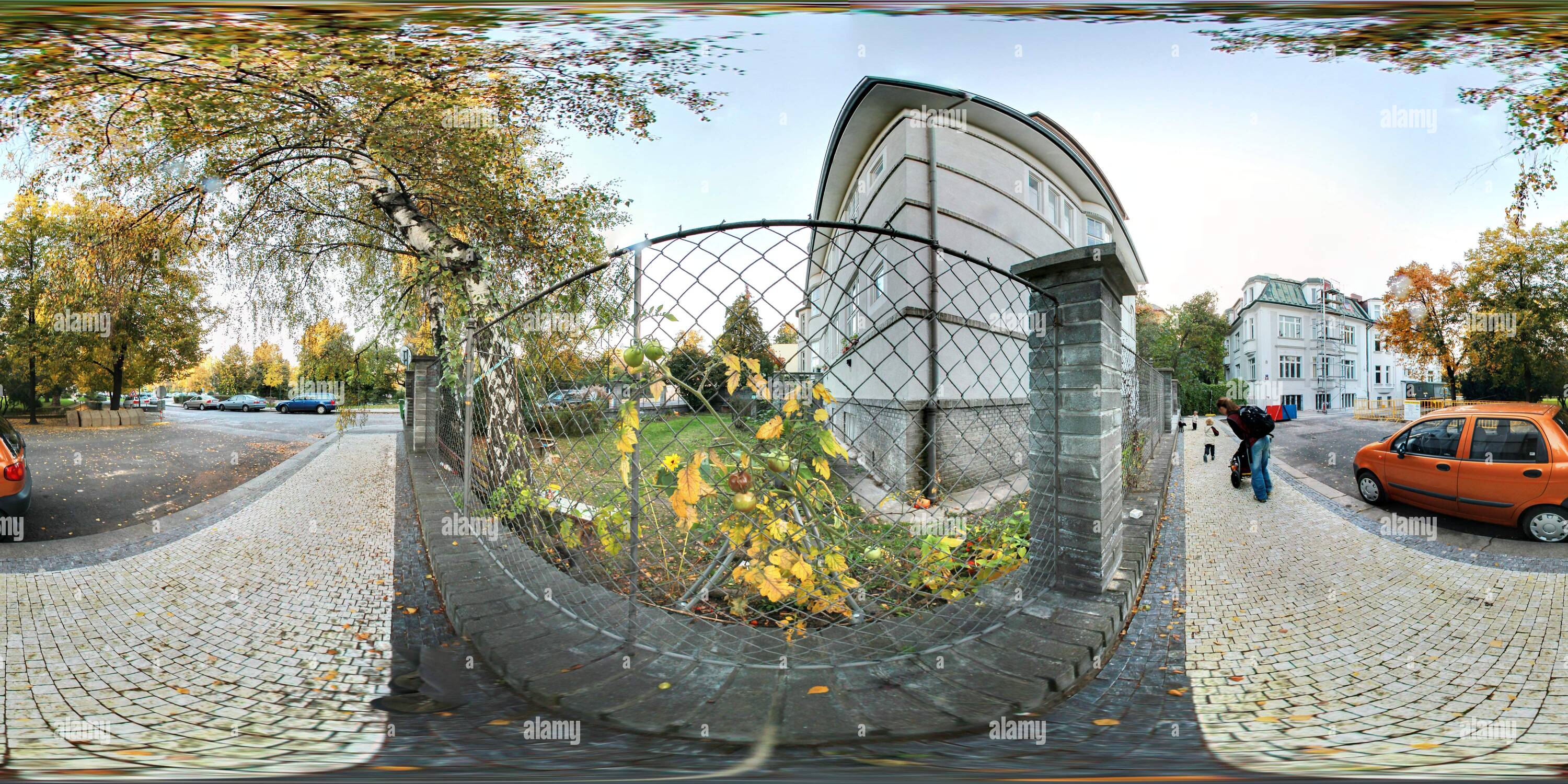 360° view of Last Tomatoes of 2010 - Alamy