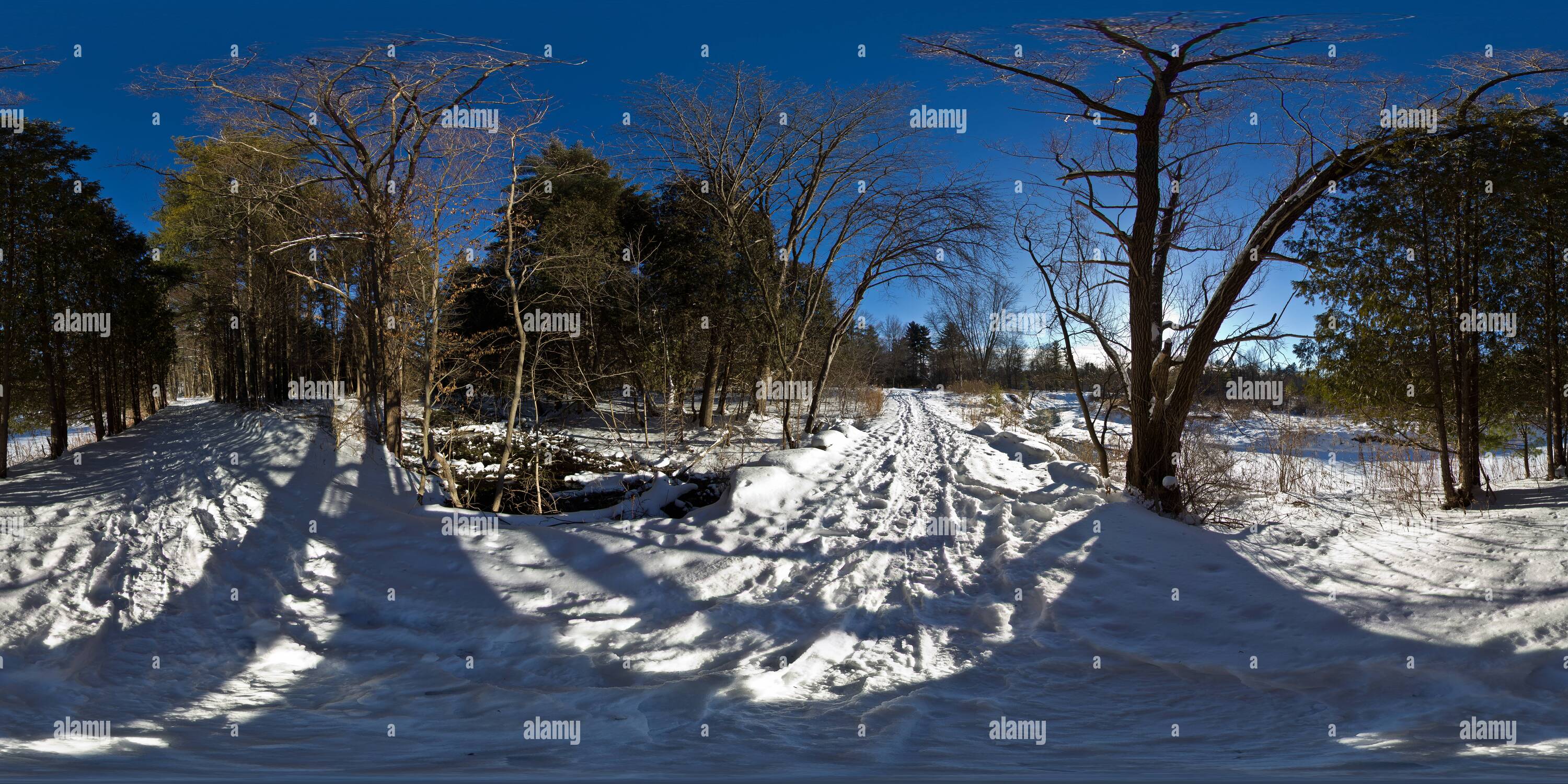 360° view of Boyd Conservation Area - Winter Hike Along the Humber - Alamy