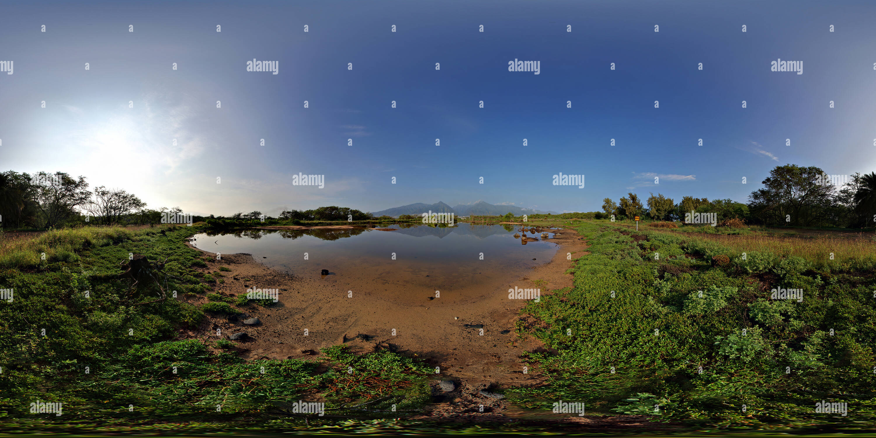 Kanaha pond hi-res stock photography and images - Alamy