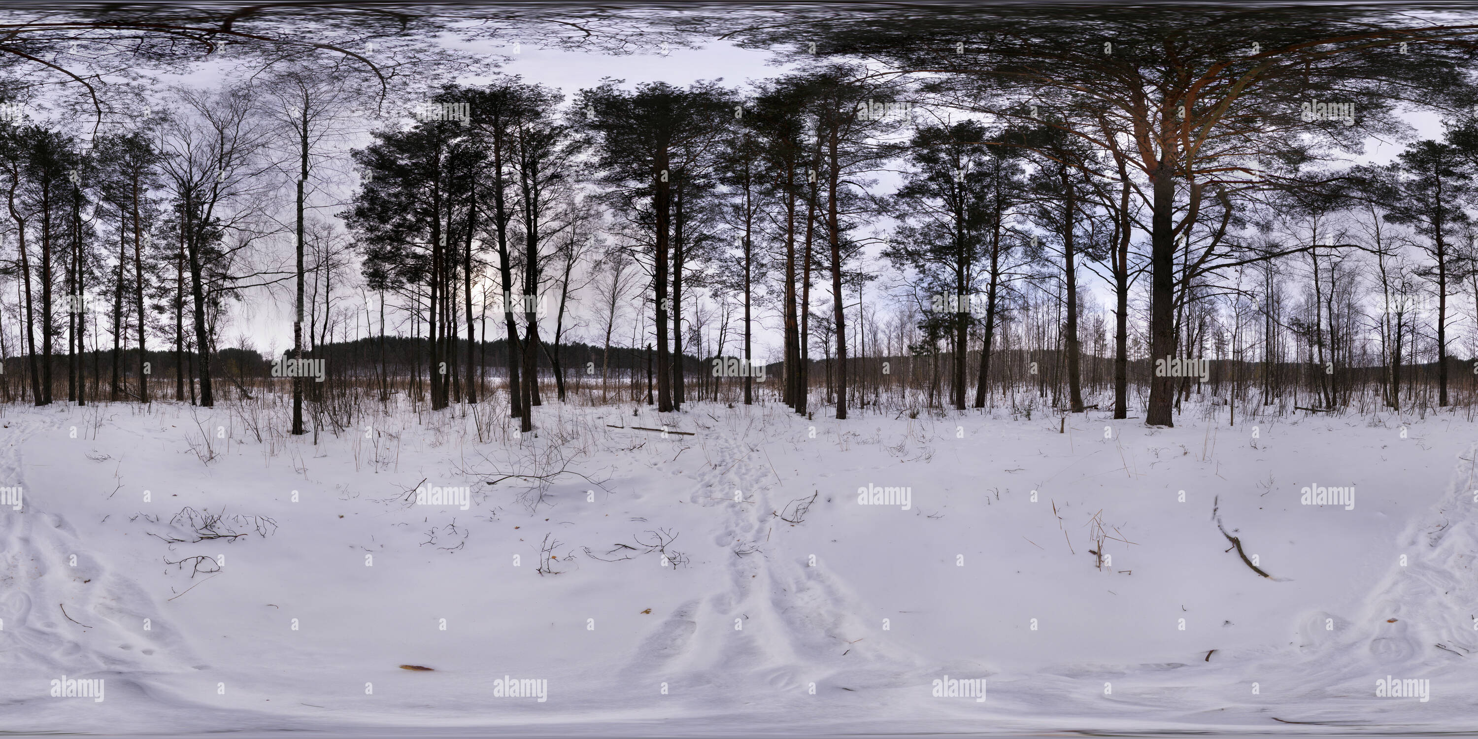 360° view of Peninsula in Ilgis lake - Alamy