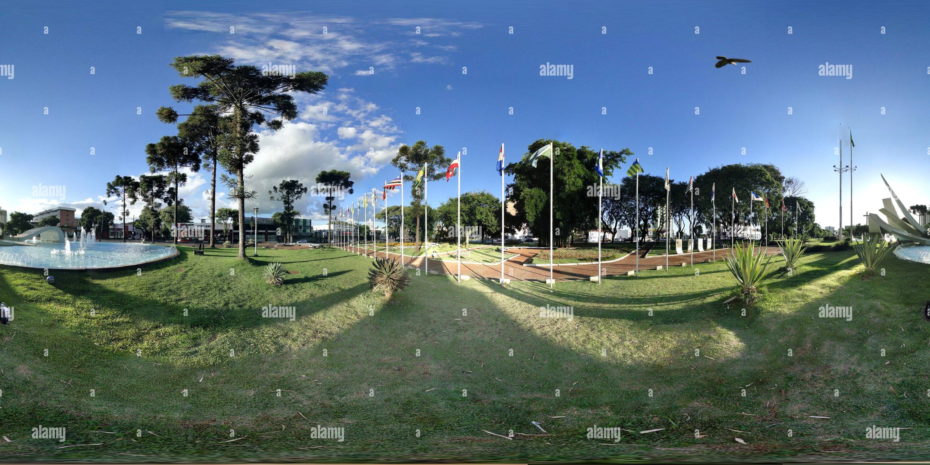 Cascavel hi-res stock photography and images - Alamy
