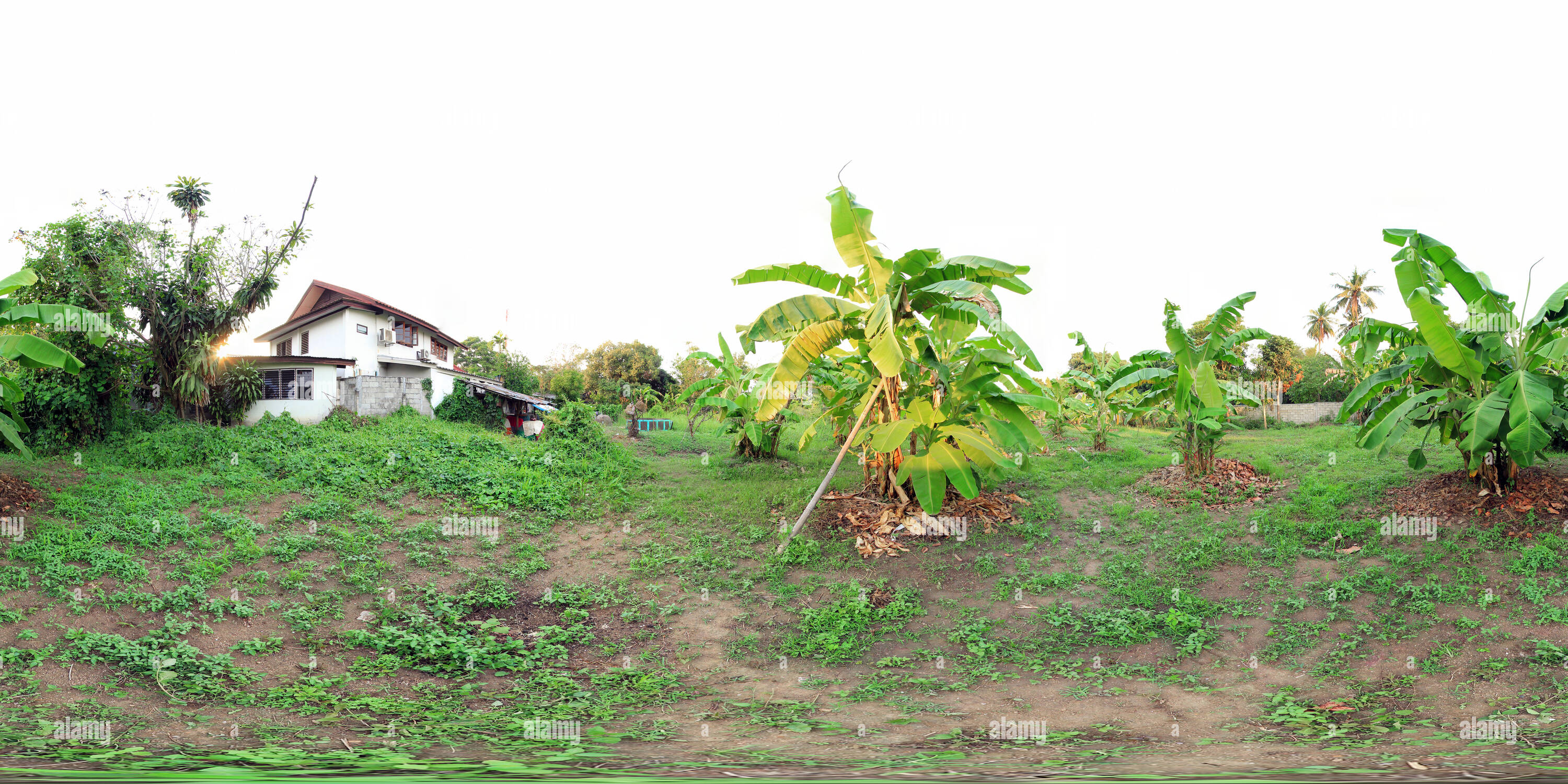 360° view of First 360 Cities Panorama - Alamy