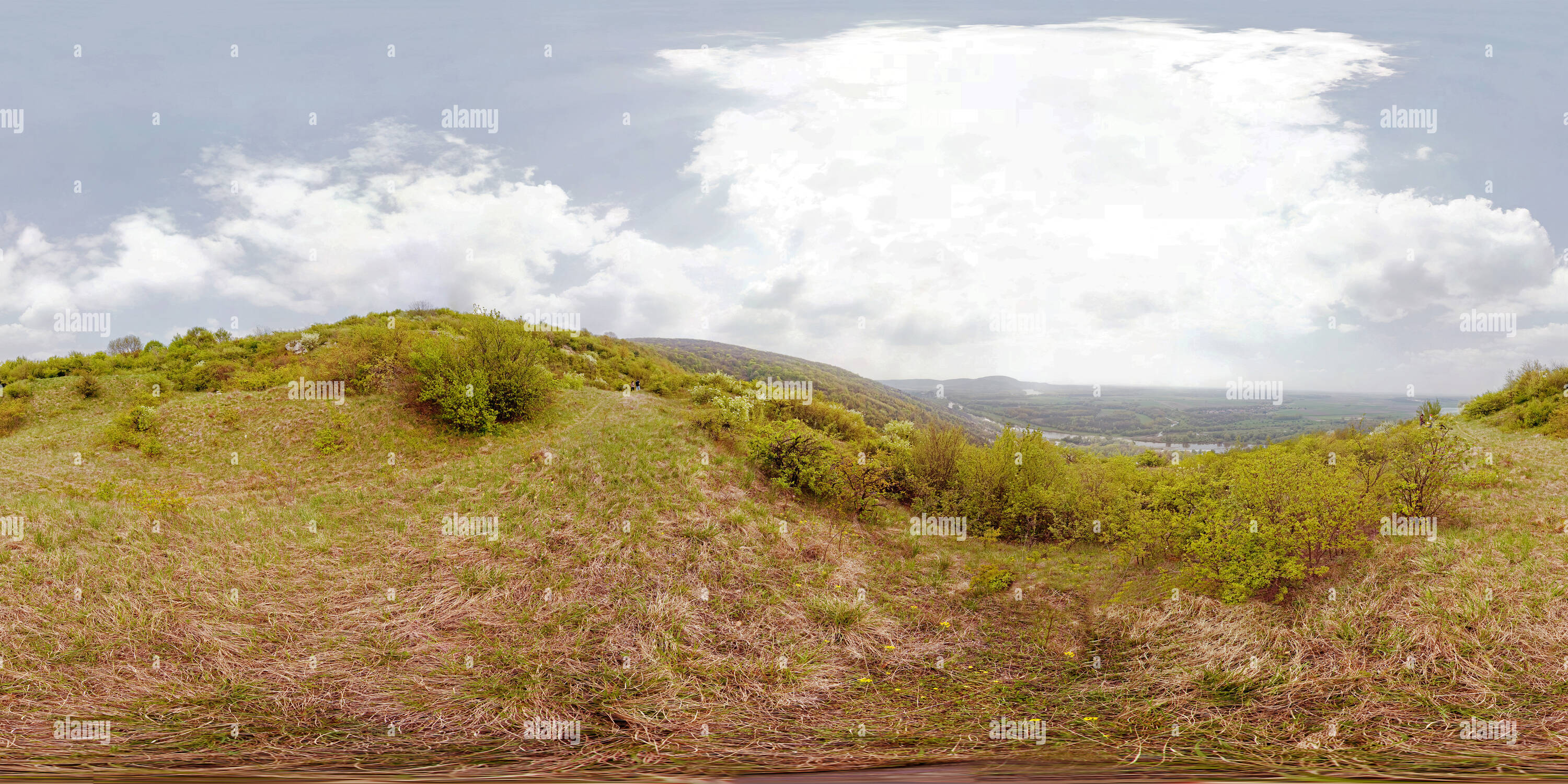 Kobyla hi-res stock photography and images - Alamy