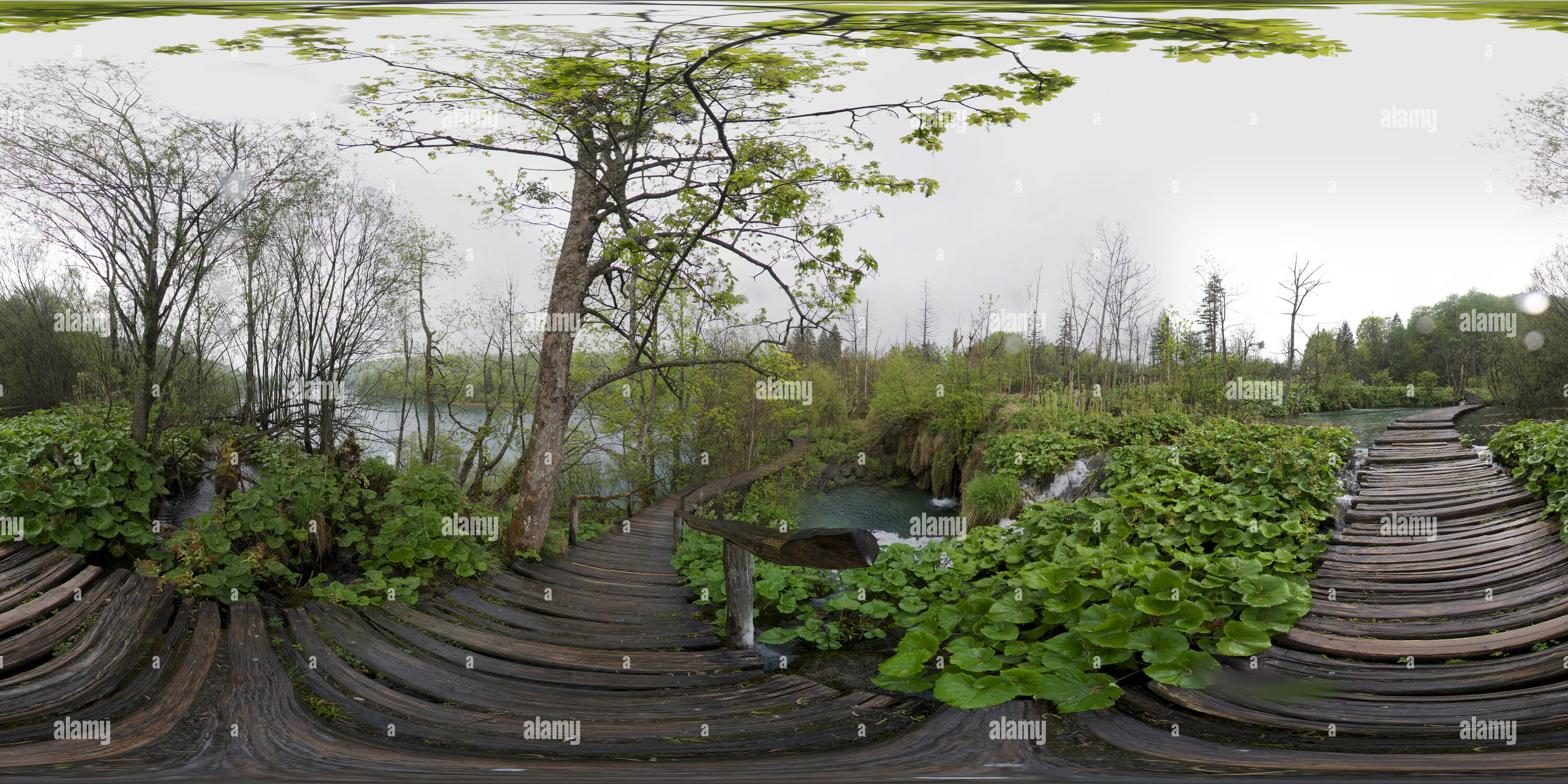 360° view of Plitvice in rain - Alamy