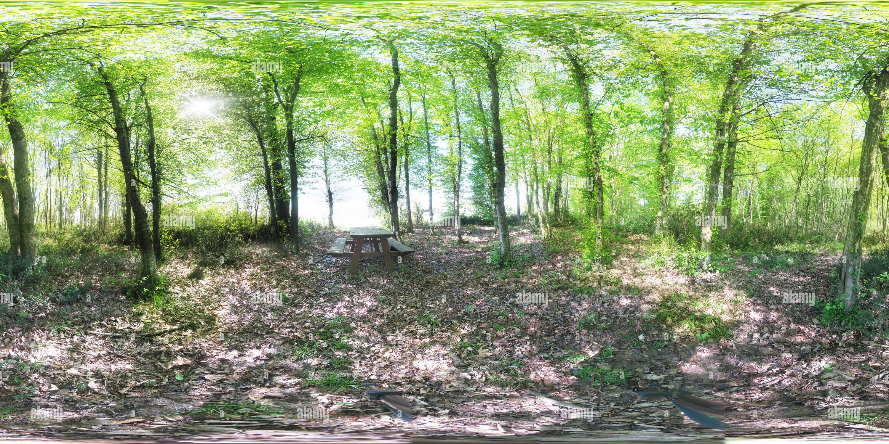 Golevi hi-res stock photography and images - Alamy