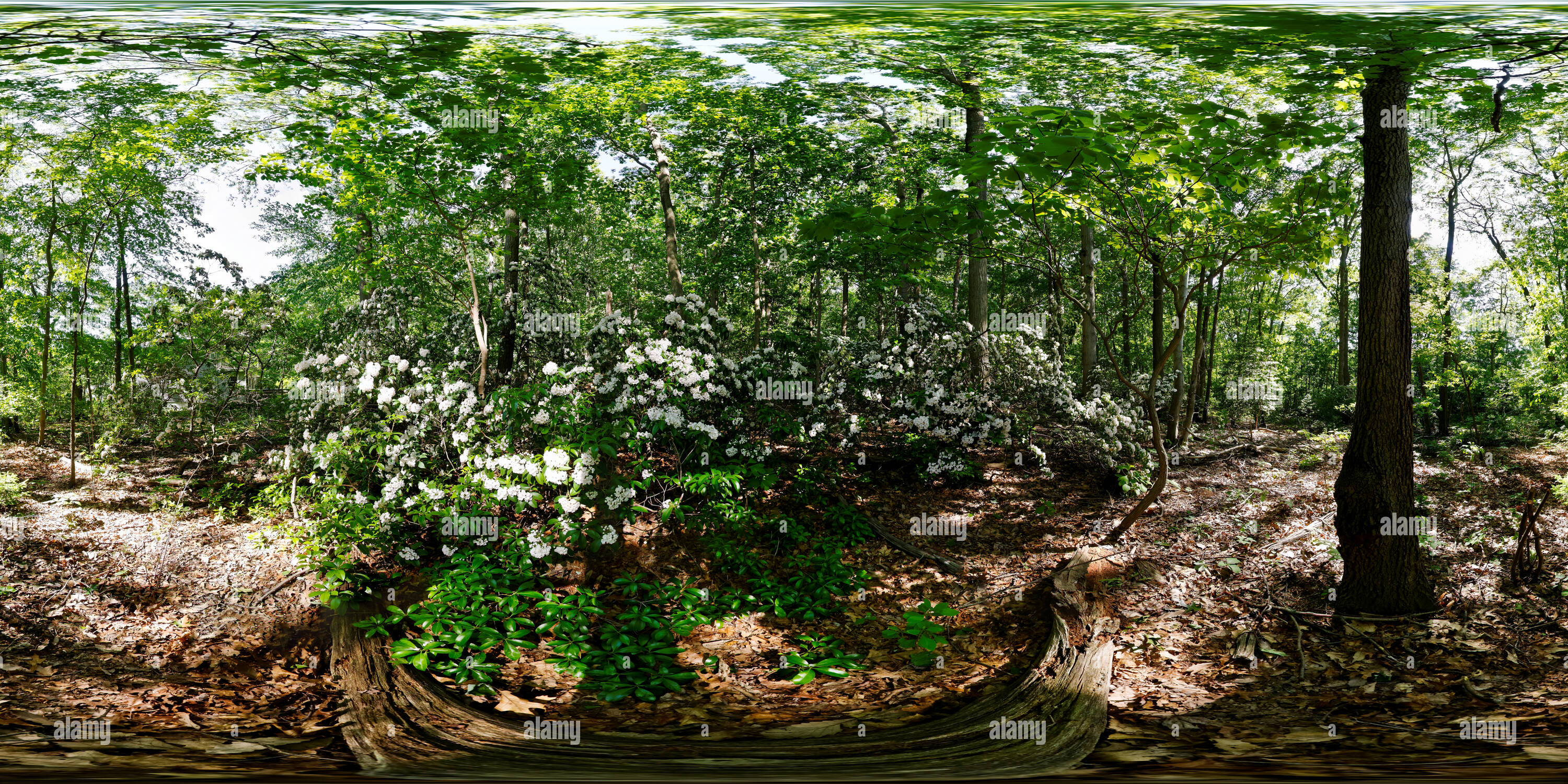 Hartshorne hi-res stock photography and images - Alamy