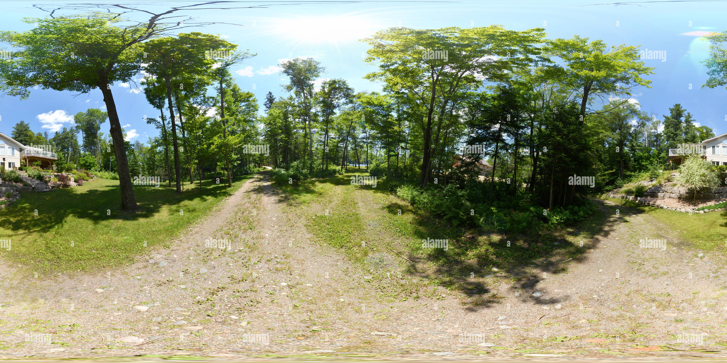 360° view of House in the woods - Alamy