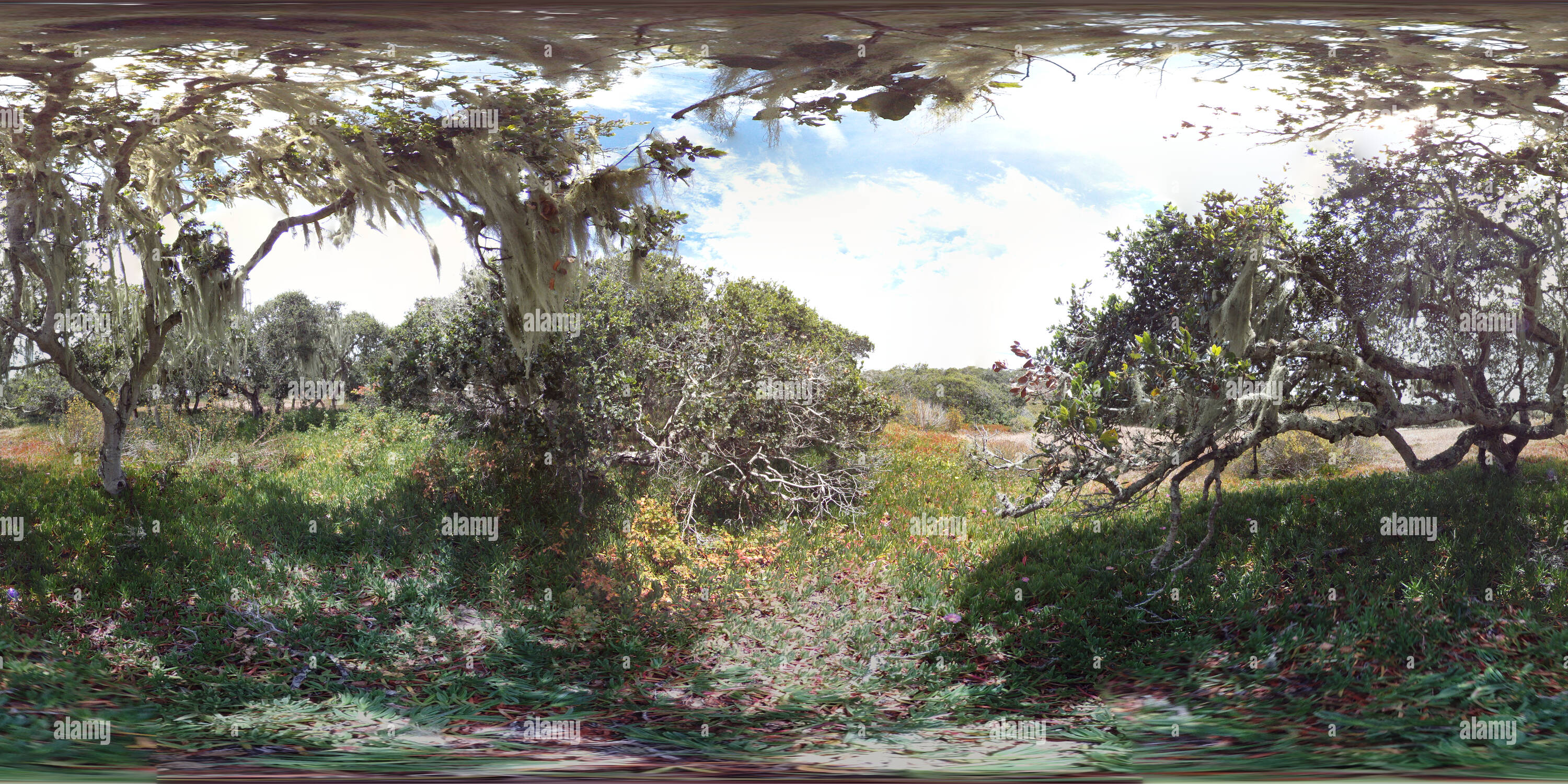 Fort ord hi-res stock photography and images - Alamy