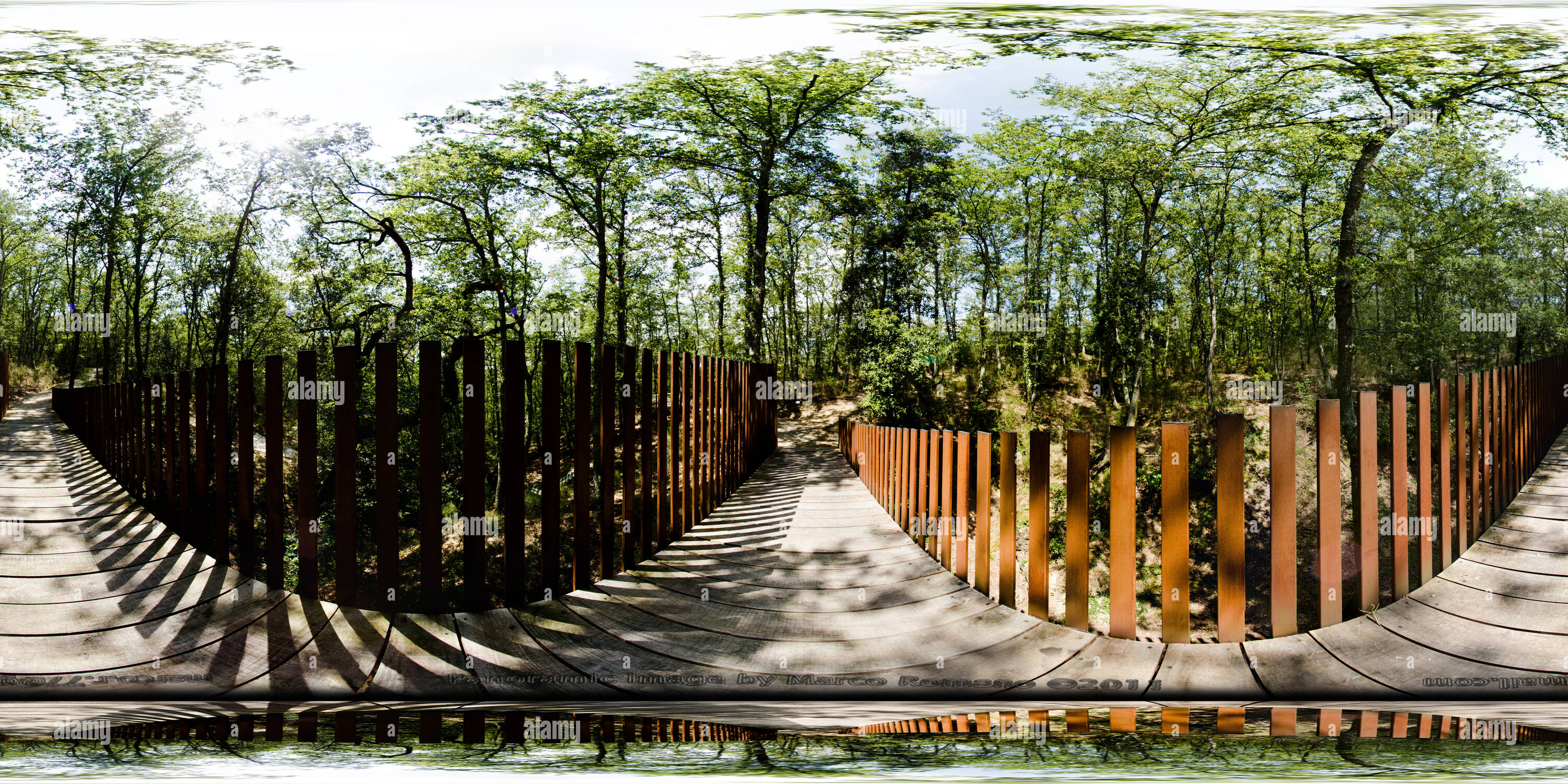 360° view of Bridge in the forest - Alamy