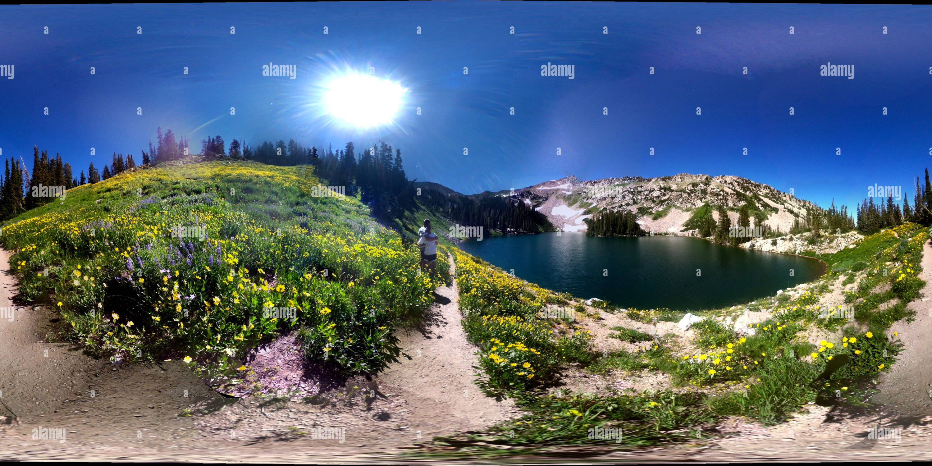 360° view of Red Pine Lake jcfz - Alamy