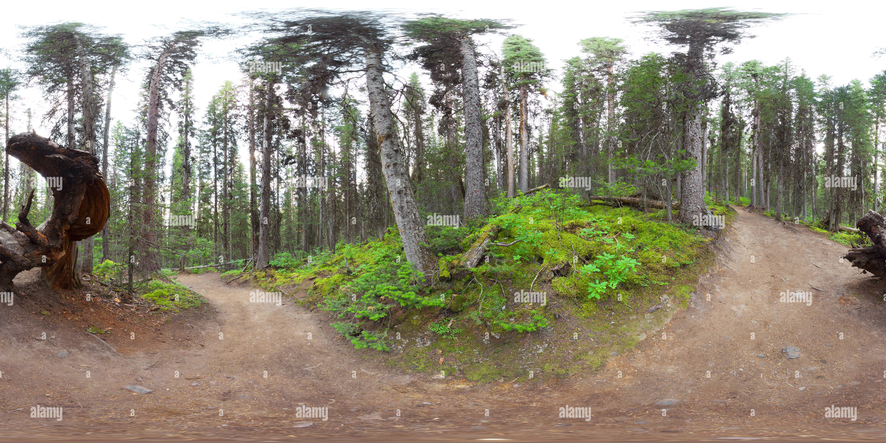 Rawson woods hi-res stock photography and images - Alamy