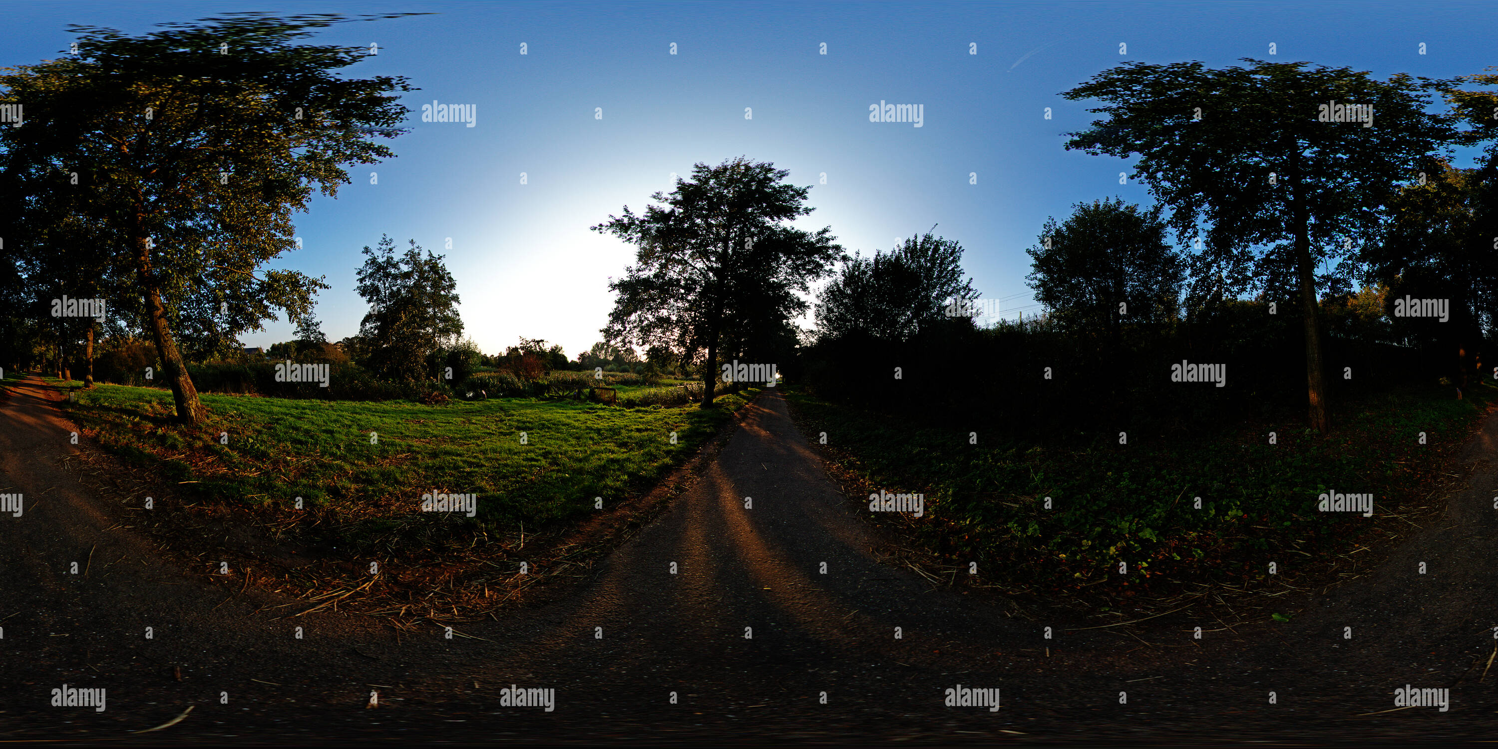 0060 hi-res stock photography and images - Alamy