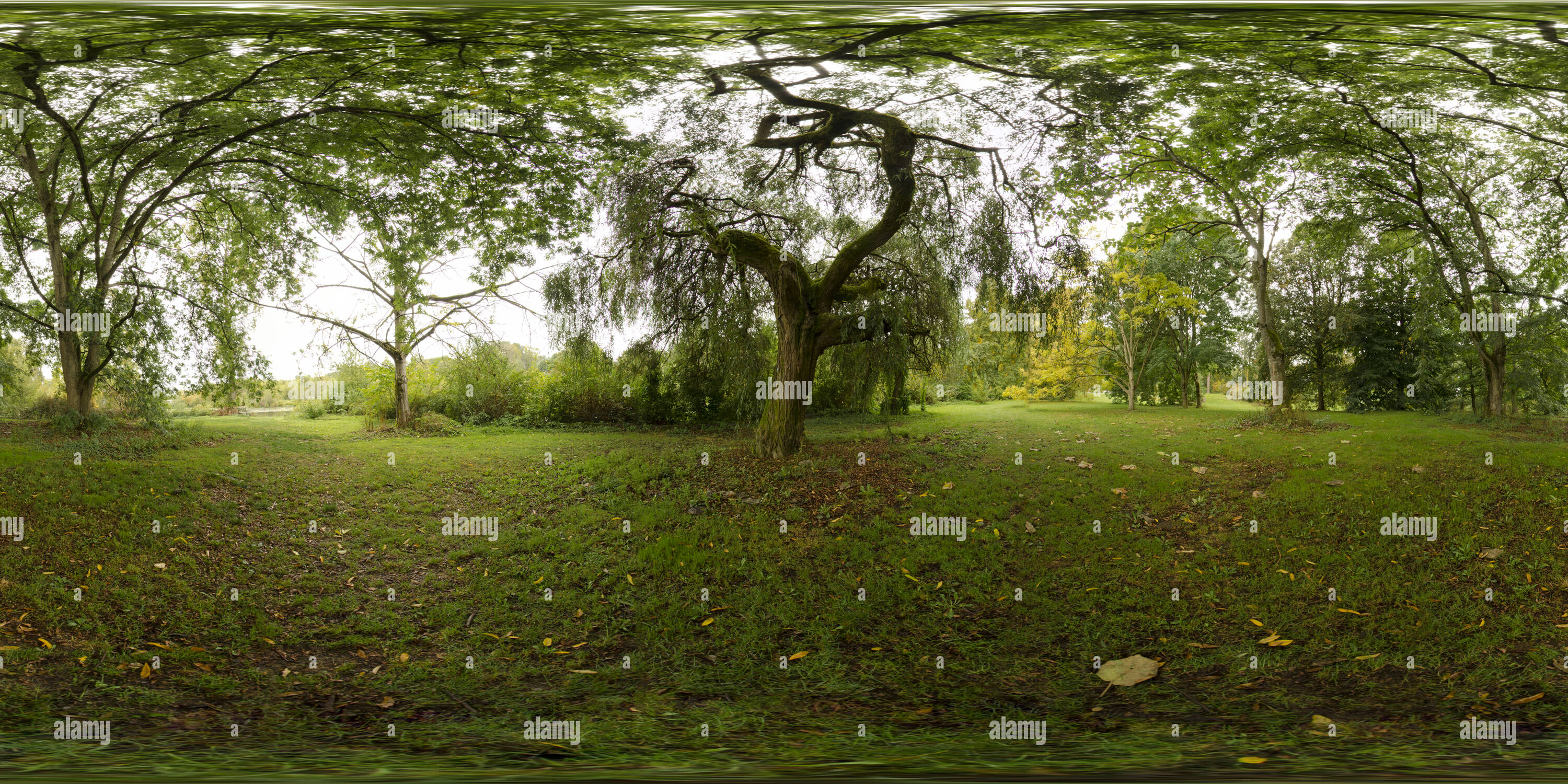 Washington park arboretum hi-res stock photography and images - Alamy