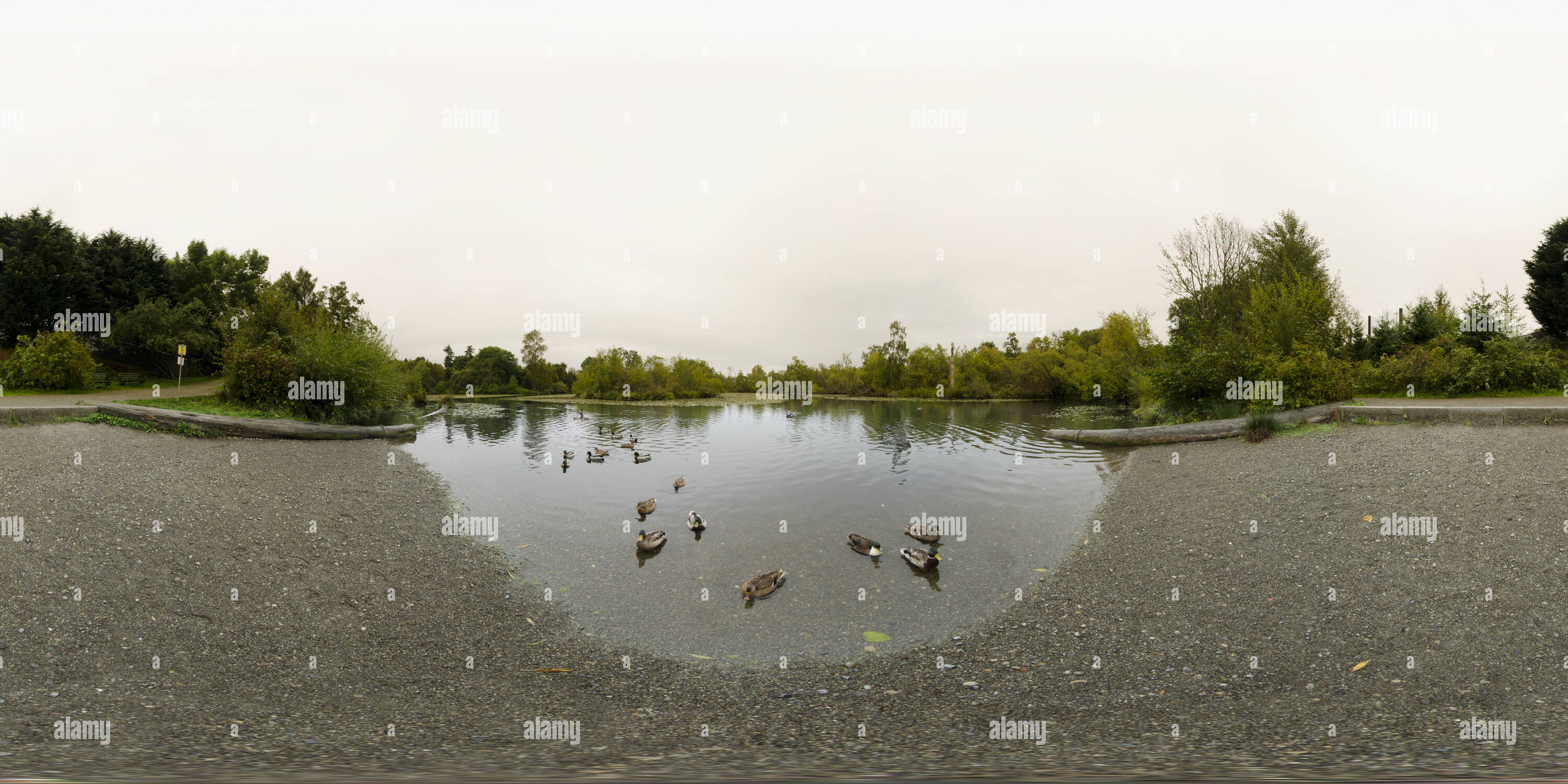 Washington park arboretum lake viewpoint hi-res stock photography and ...