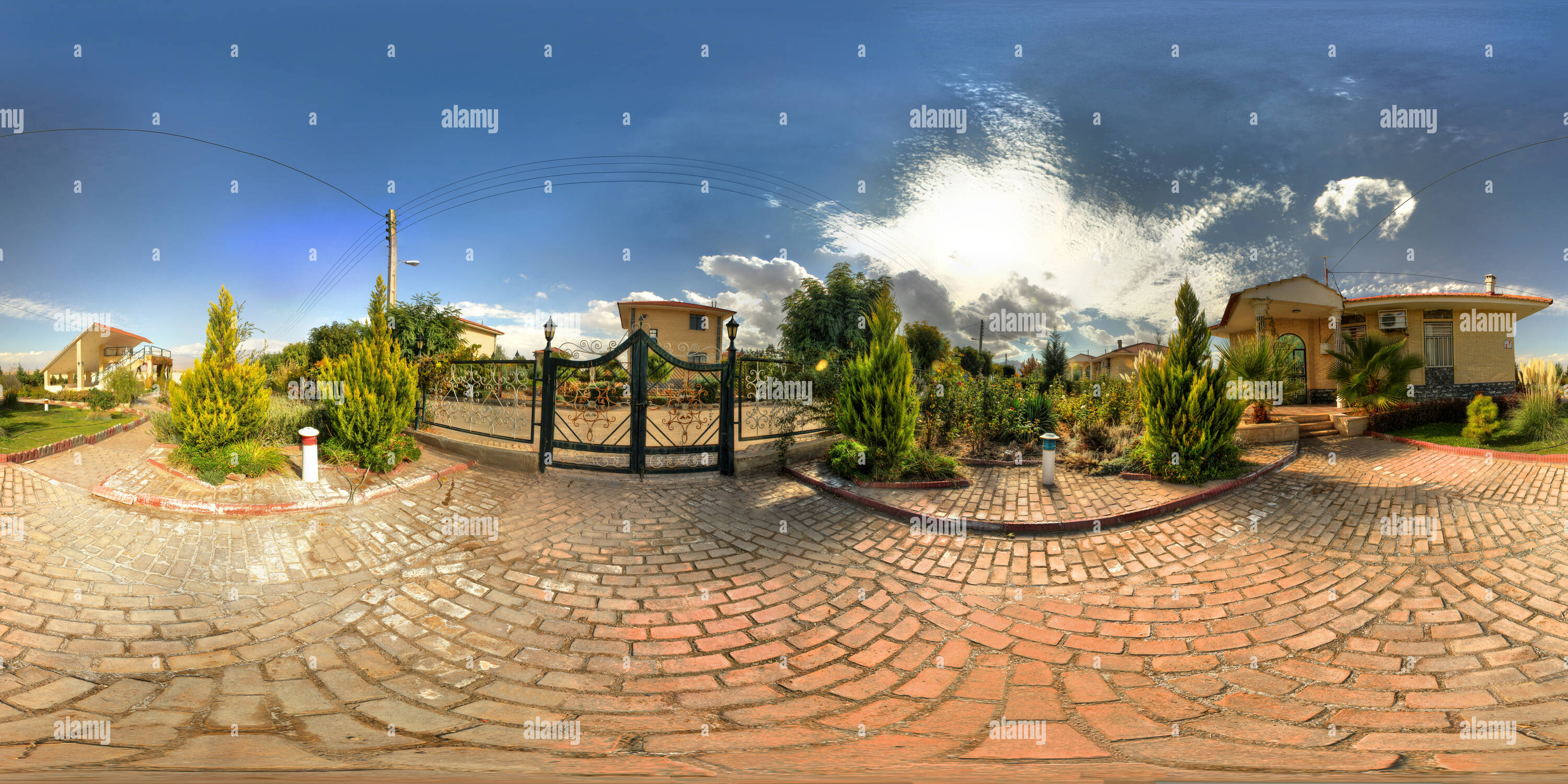 Miron hi-res stock photography and images - Alamy