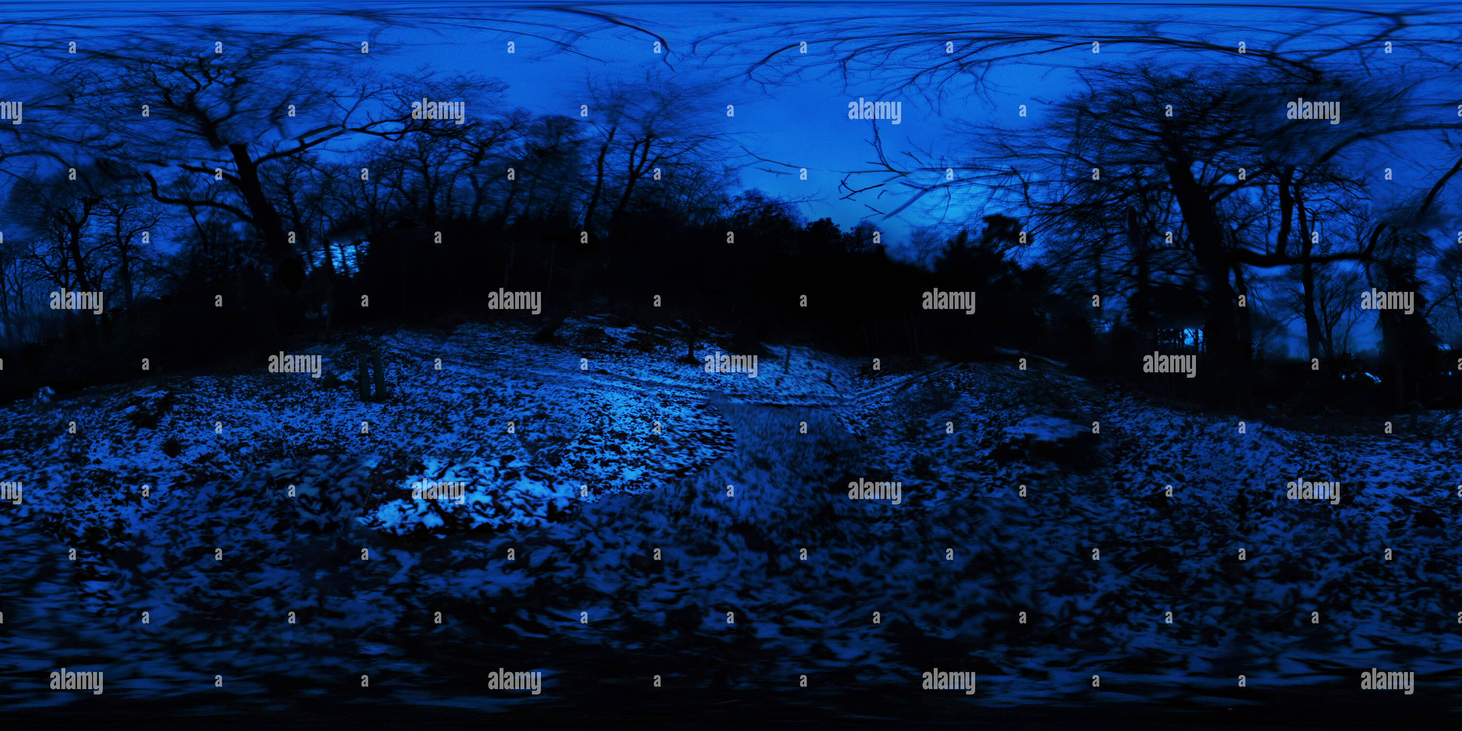 Snow woods night hi-res stock photography and images - Alamy