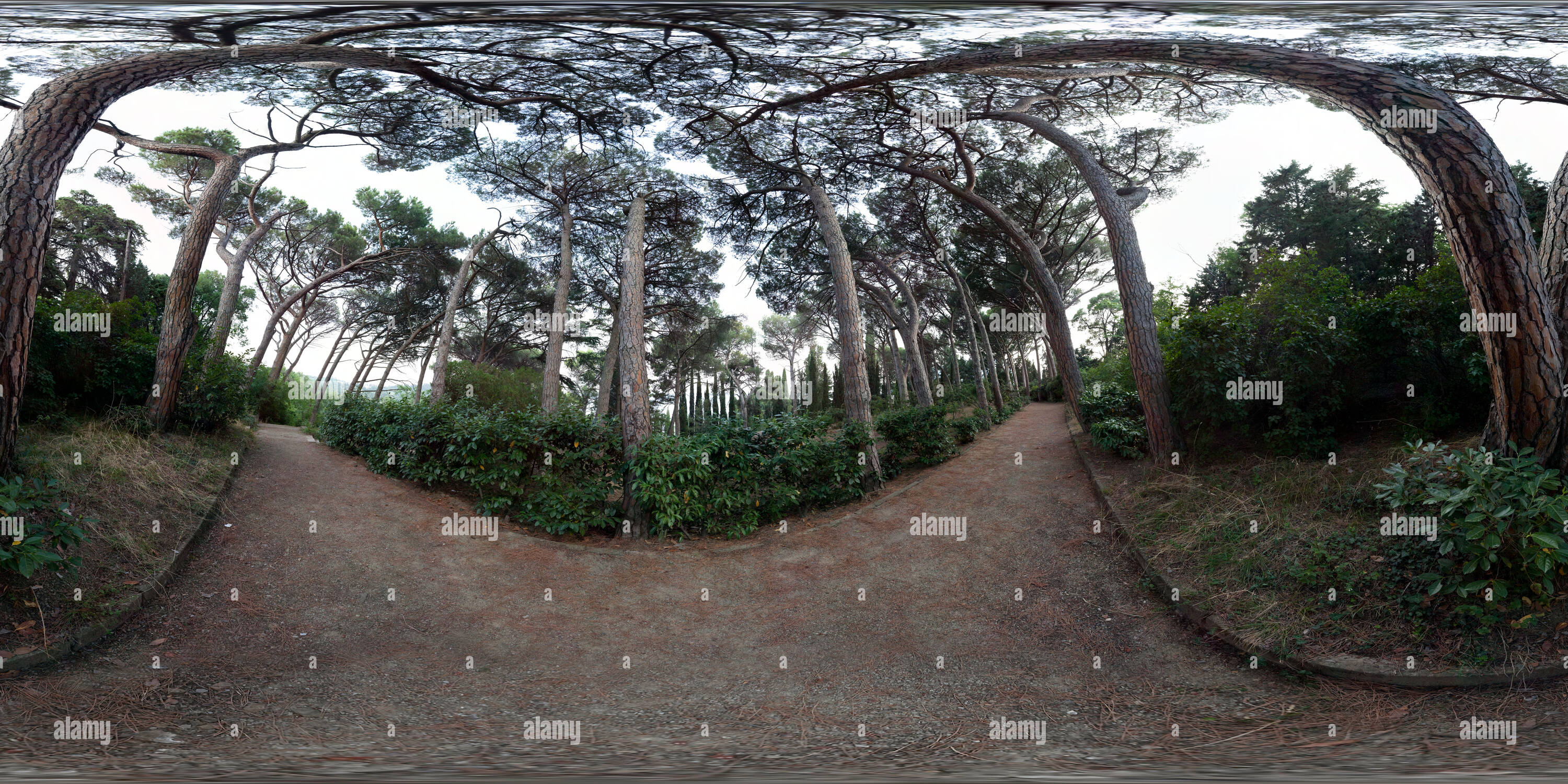 360° view of Crimea. Karasan. Path of reverie - Alamy