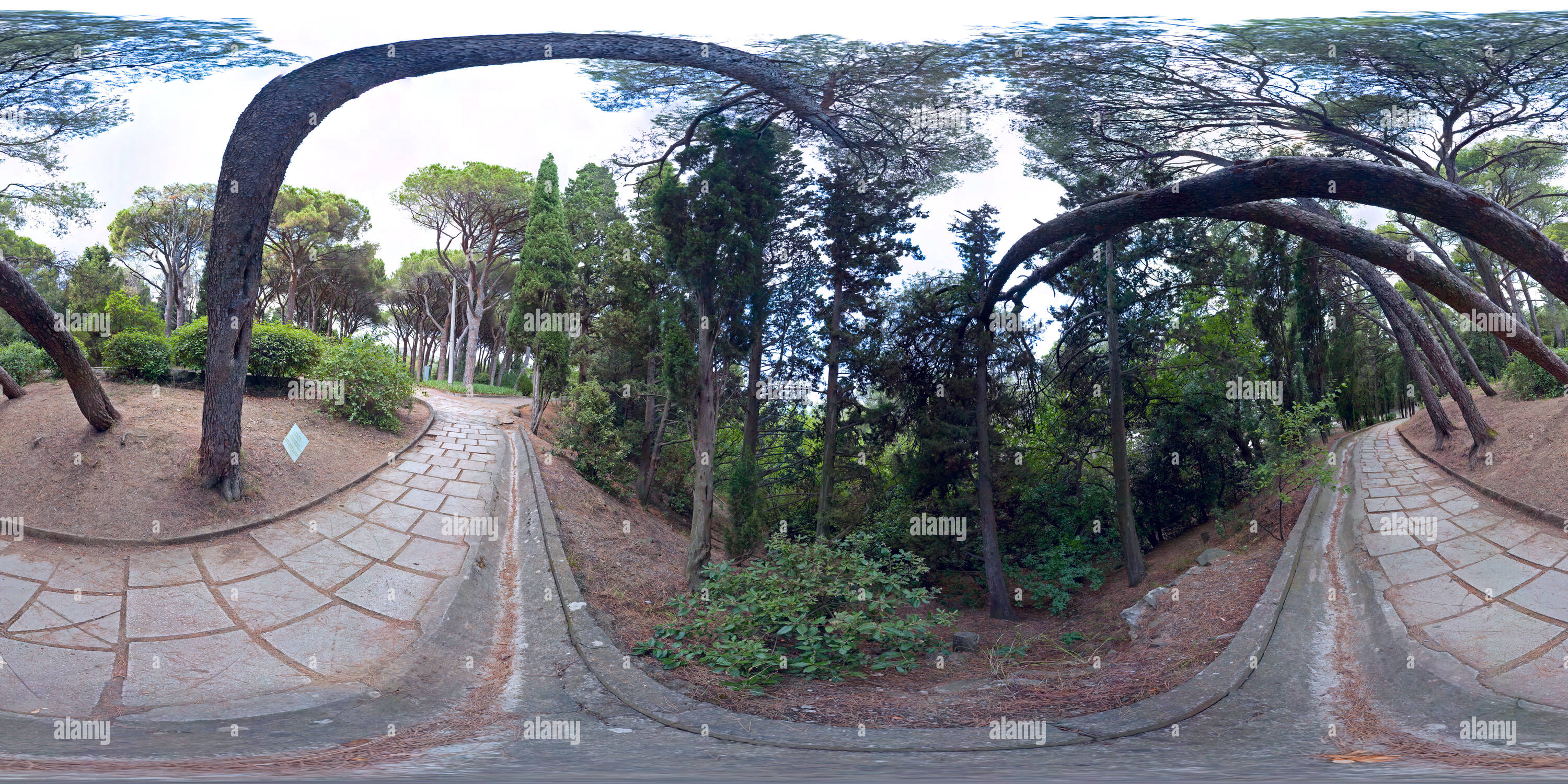 360° view of Crimea. Karasan. Downward path - Alamy