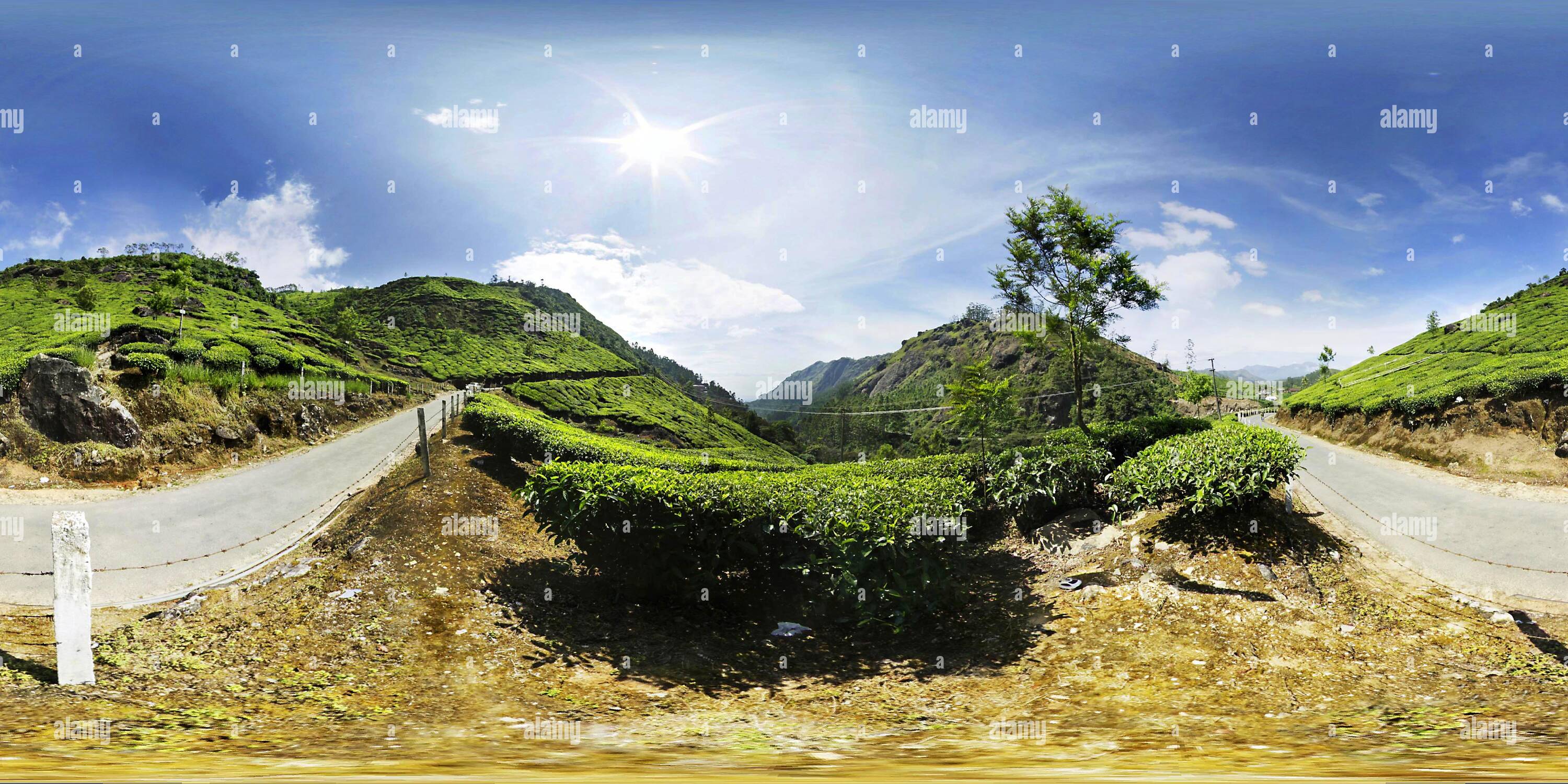 Munnar hillstation hi-res stock photography and images - Alamy