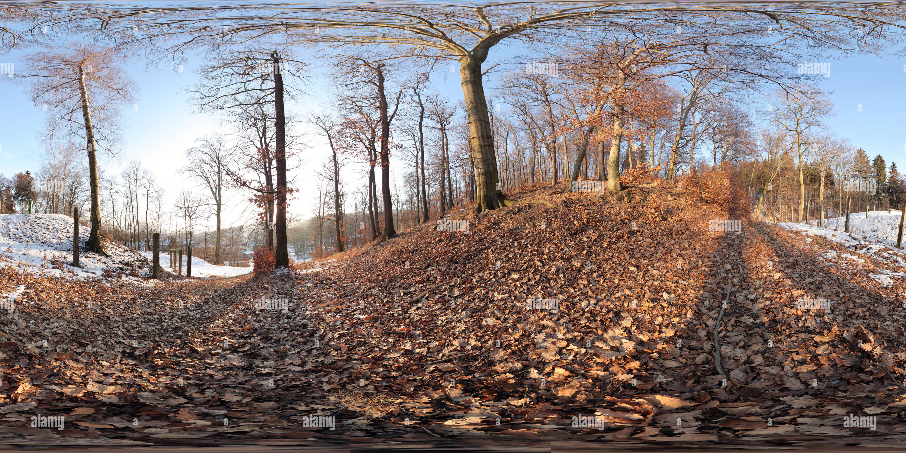 Litvinov Stock Photos & Litvinov Stock Images - Alamy