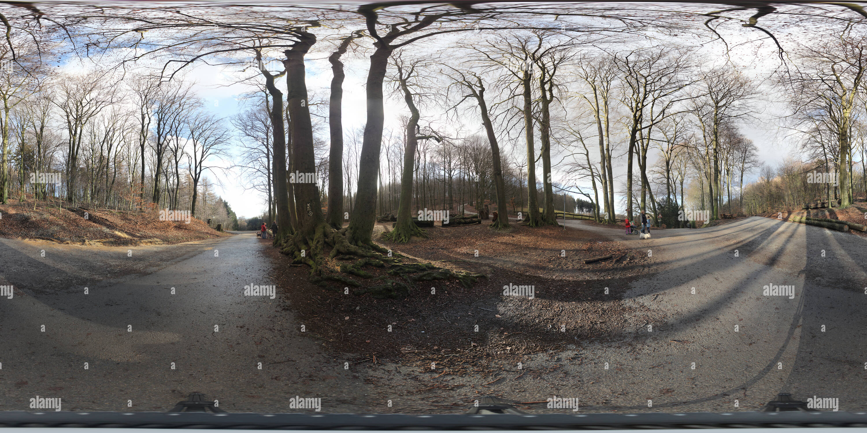 360° view of Footpath near the native animal park Olderdissen - Alamy