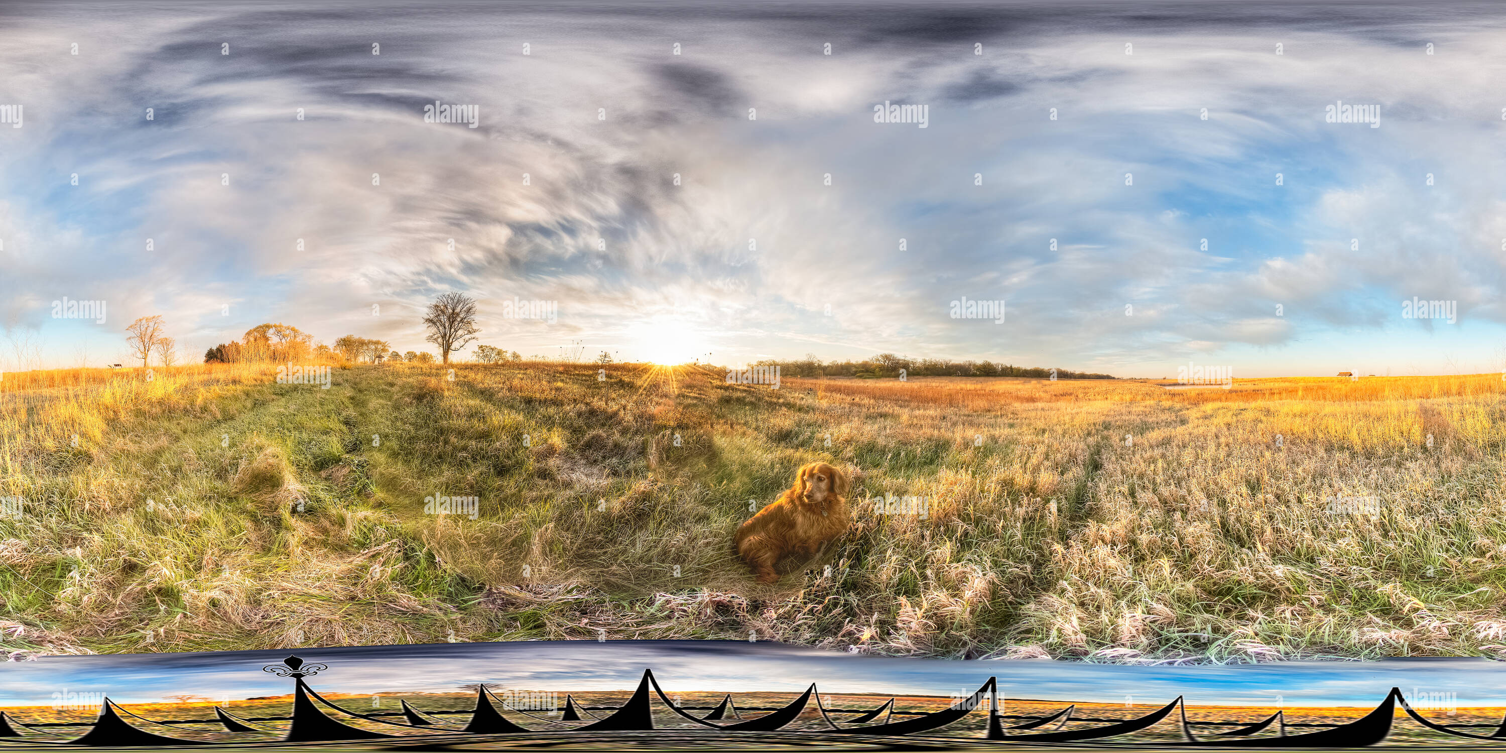 360° view of Dick Young Forest Preserve Restored Prairie - Alamy