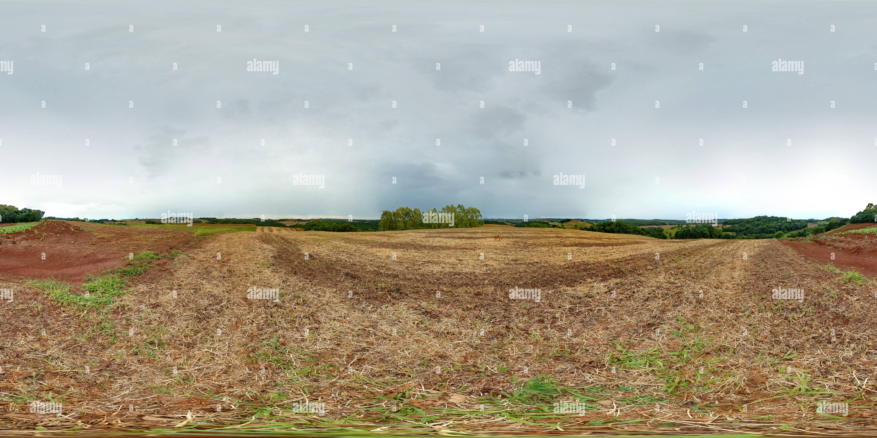 Muliterno hi-res stock photography and images - Alamy