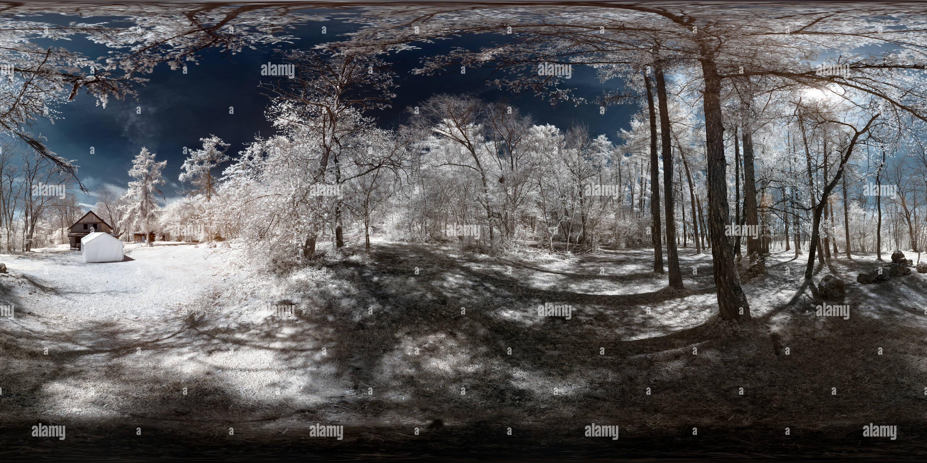 360° view of Wood in Infrared - Alamy