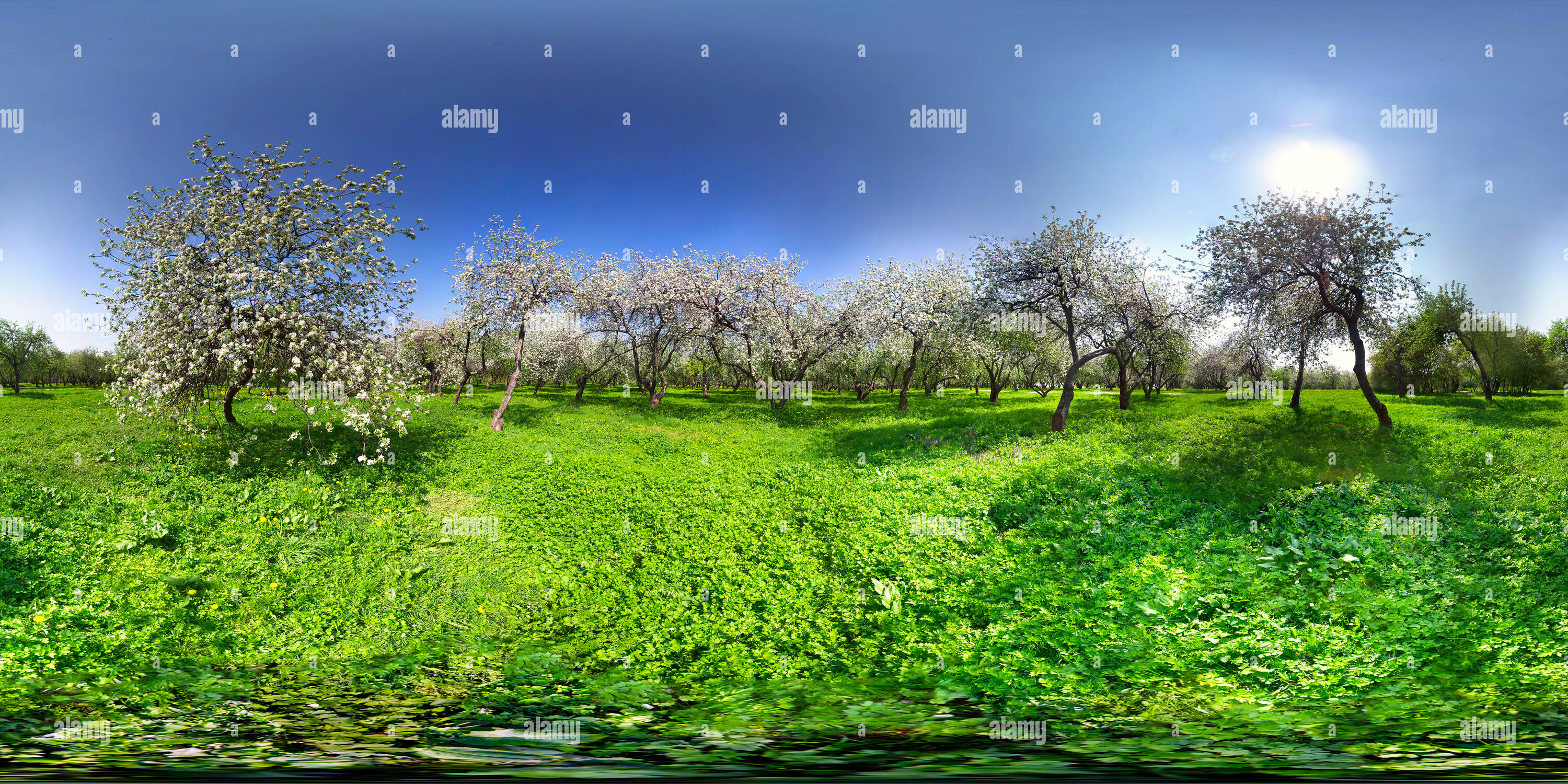 360° view of Spring in Kolomenskoe - Alamy