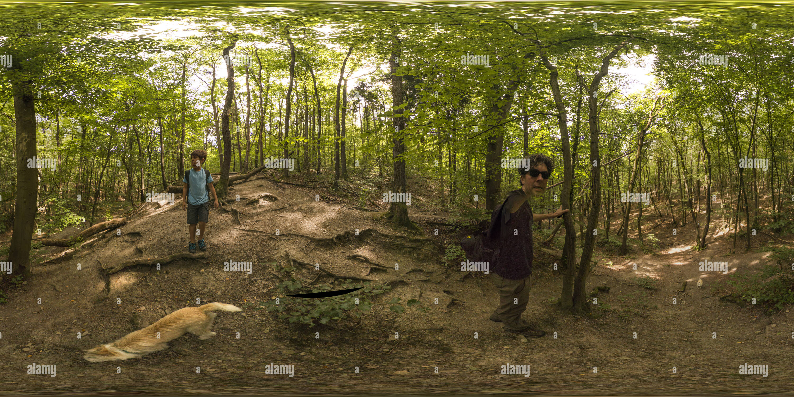 360° view of Bohemian Forest Walk - 2 - Alamy