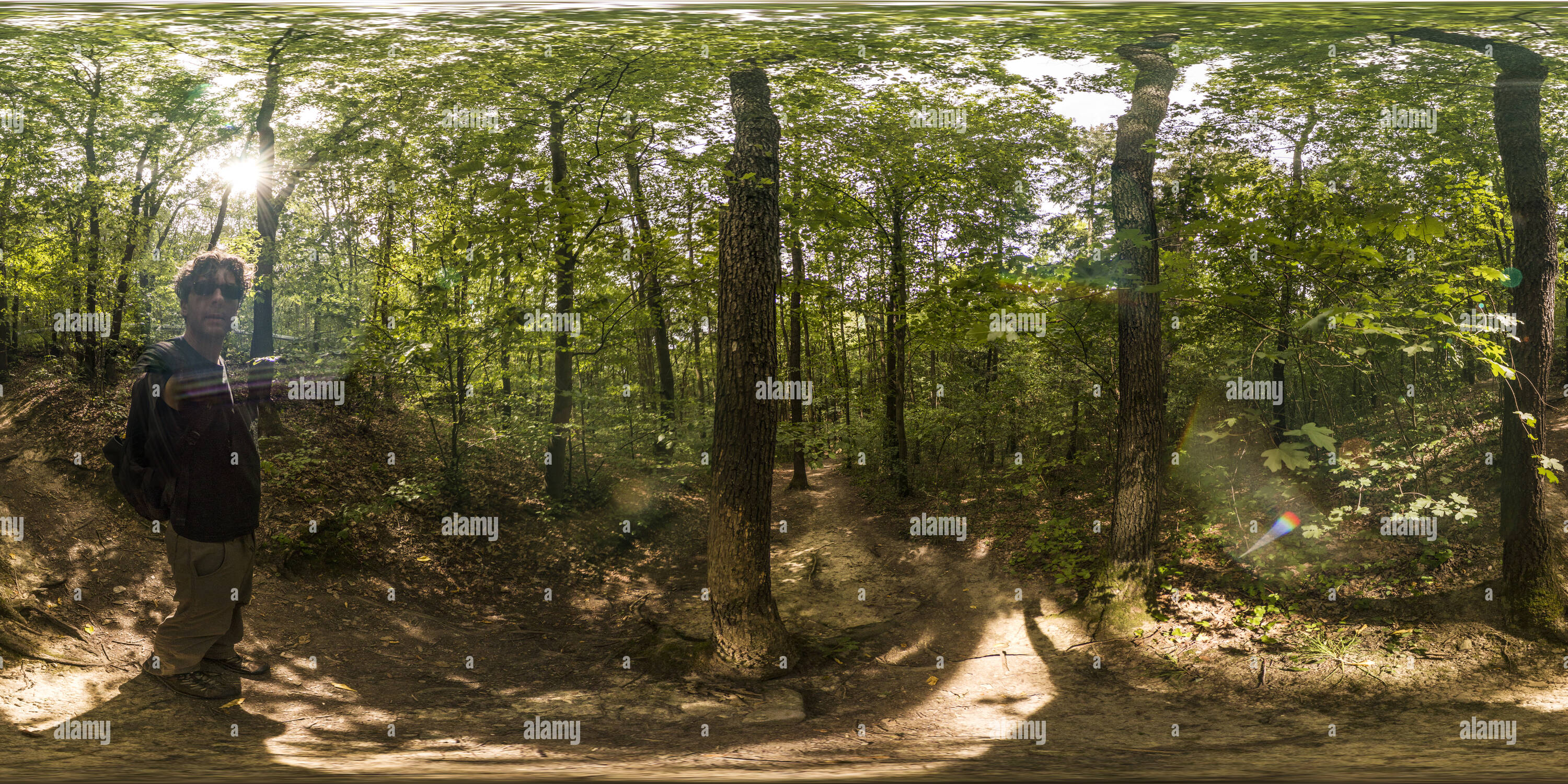 360° view of Bohemian Forest Walk - 3 - Alamy