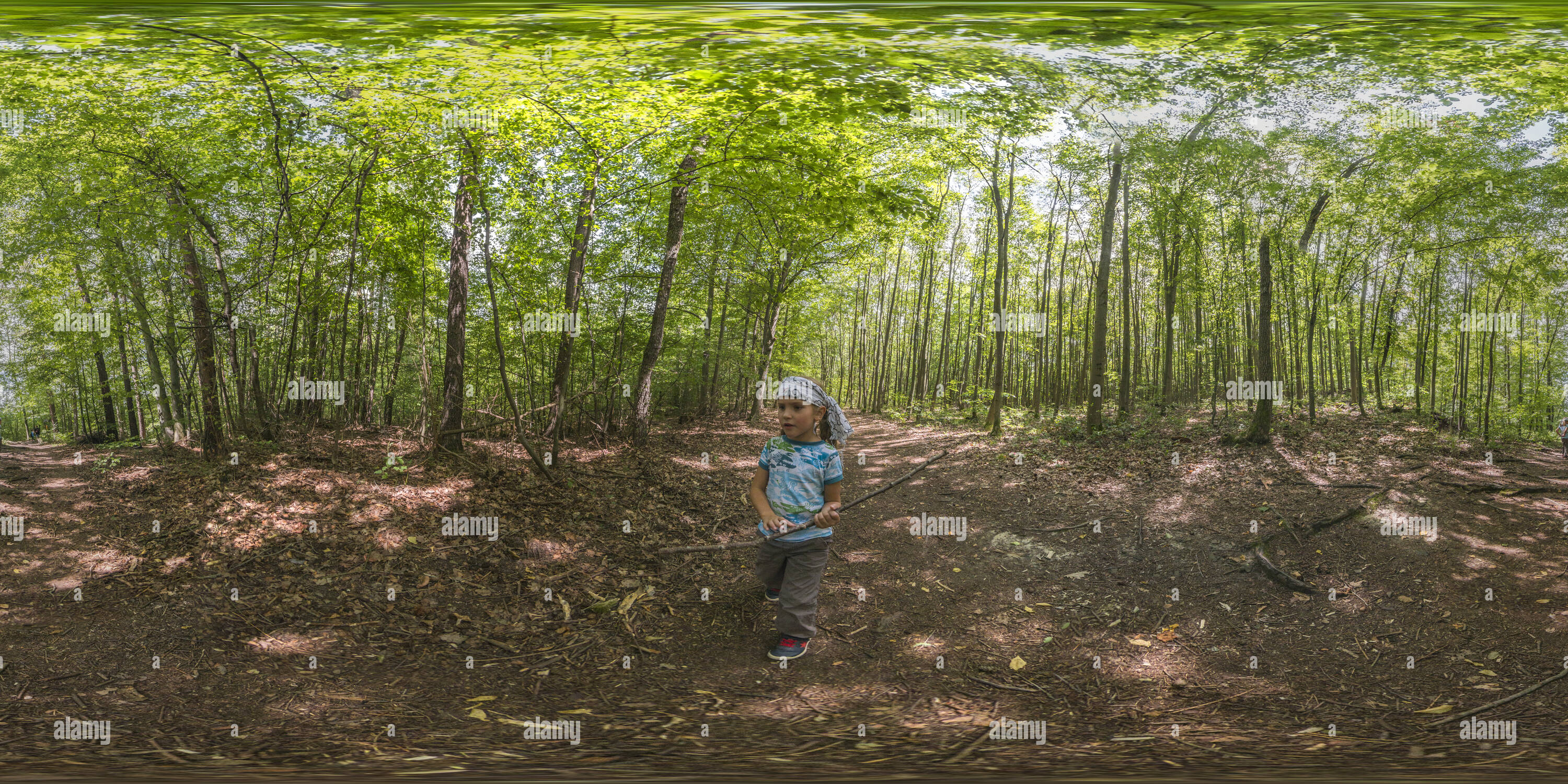 360° view of Bohemian Forest Walk - 14 - Alamy