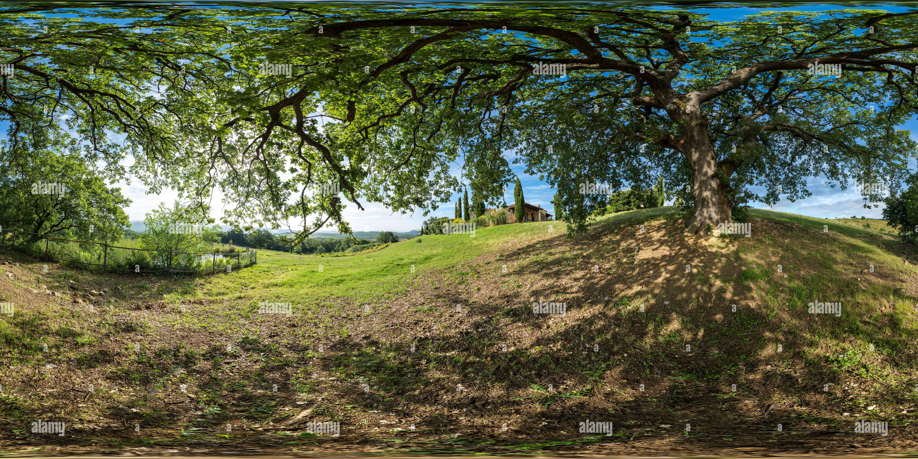 360° view of The true king of the hill - Alamy