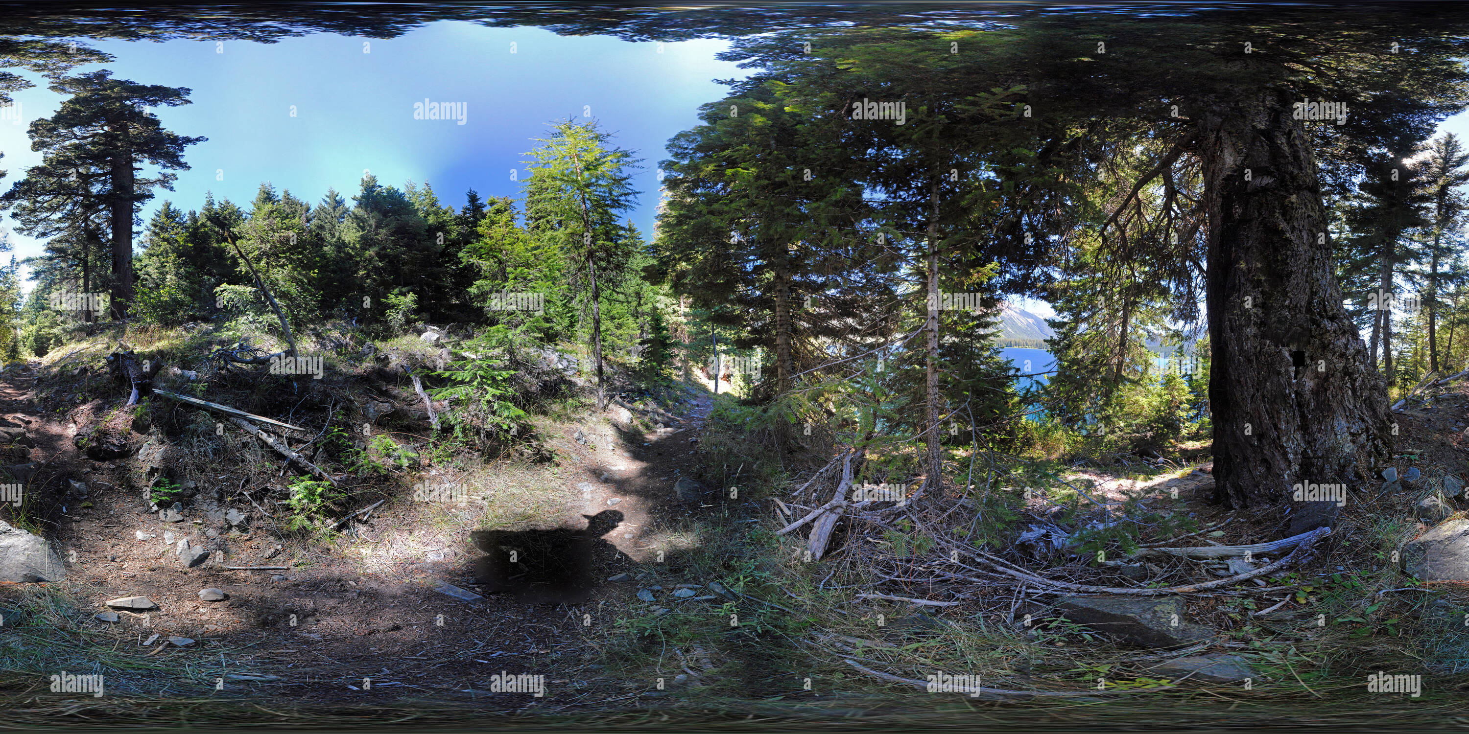 360° view of Bumping Lake Panorama 9 - Alamy