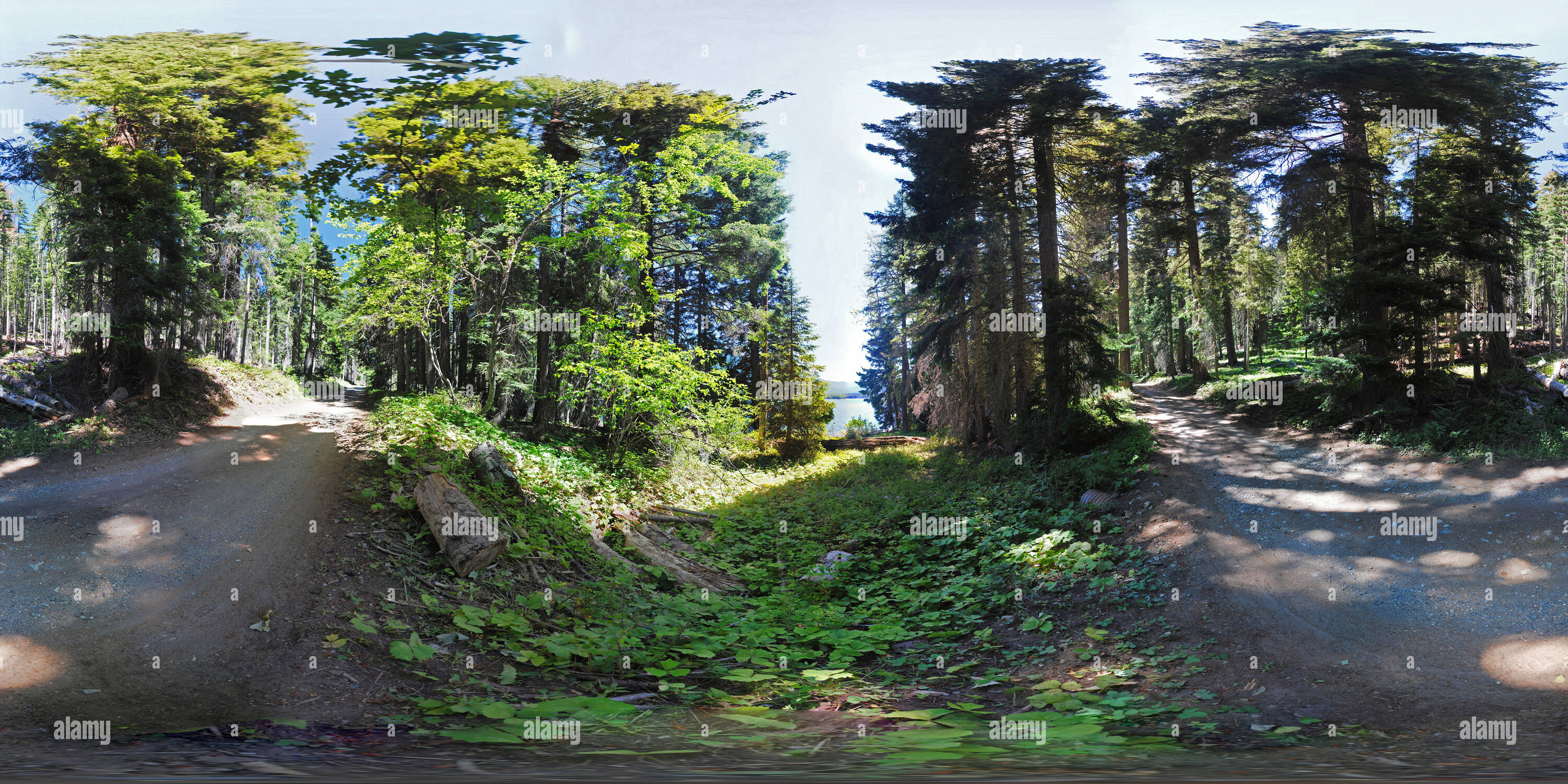 360° view of Bumping Lake Panorama 10 - Alamy