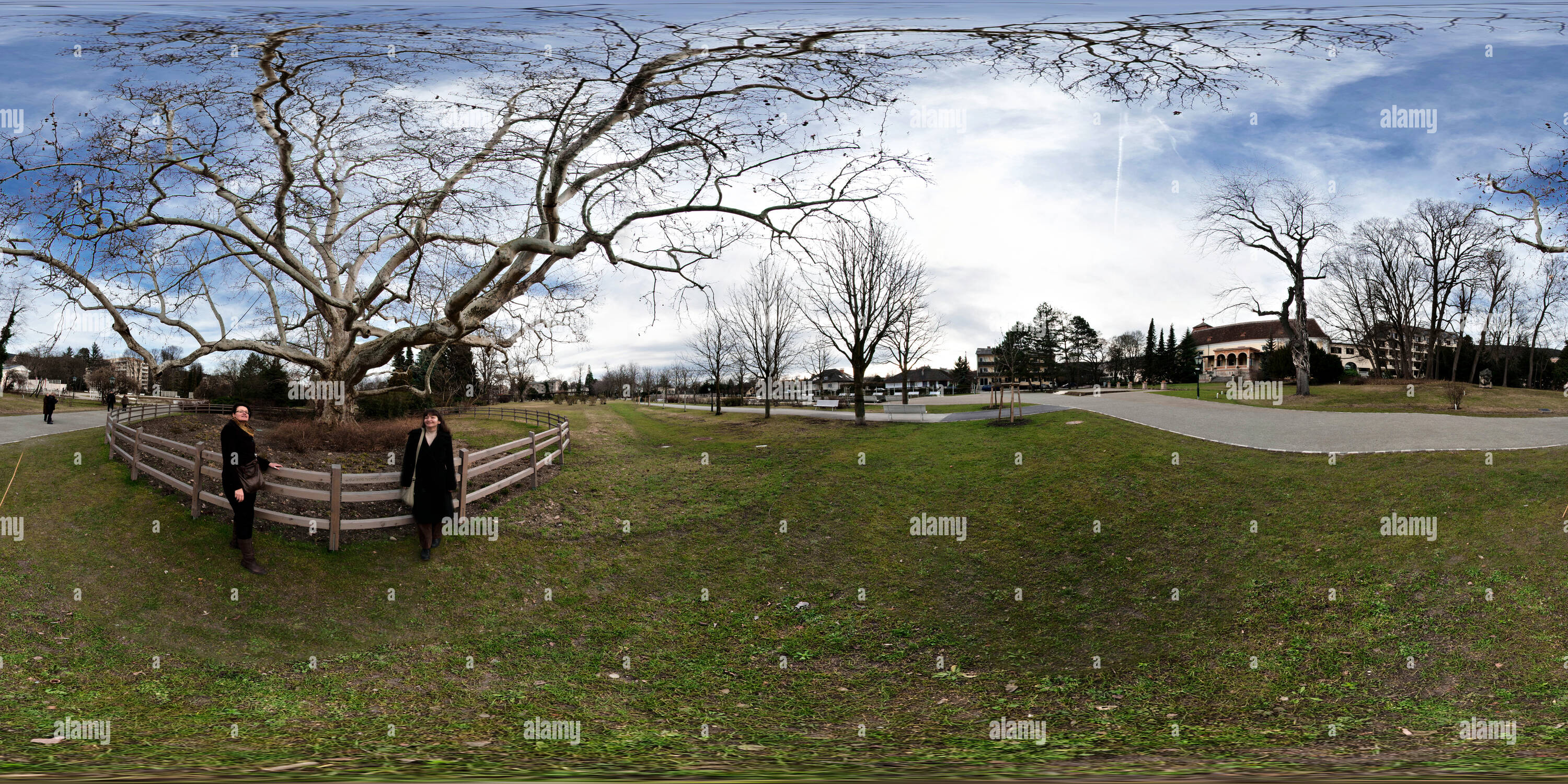 Baden rosarium hi-res stock photography and images - Alamy