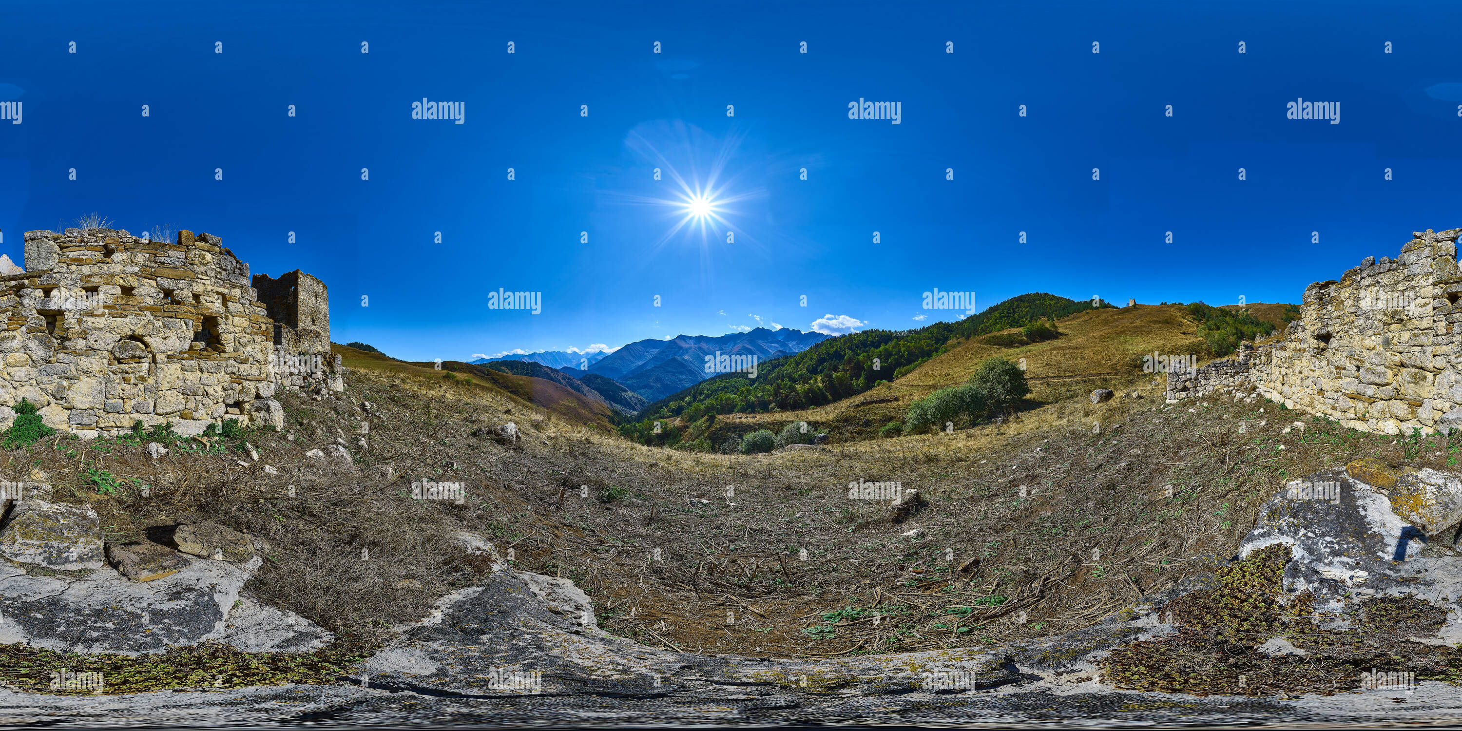 Besht hi-res stock photography and images - Alamy