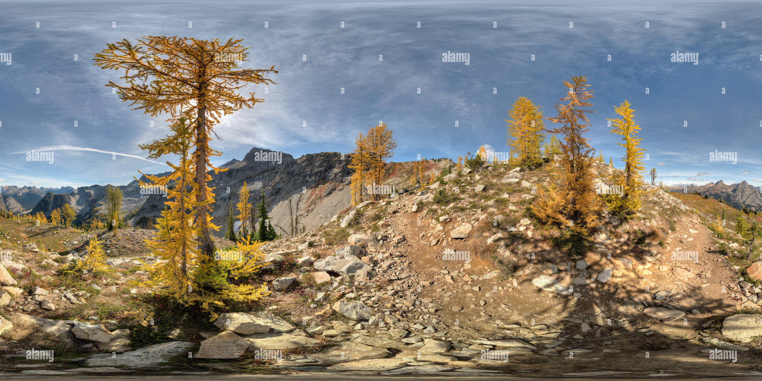 360° view of Trailside Larches, Maple Pass Trail, North Cascades, WA ...