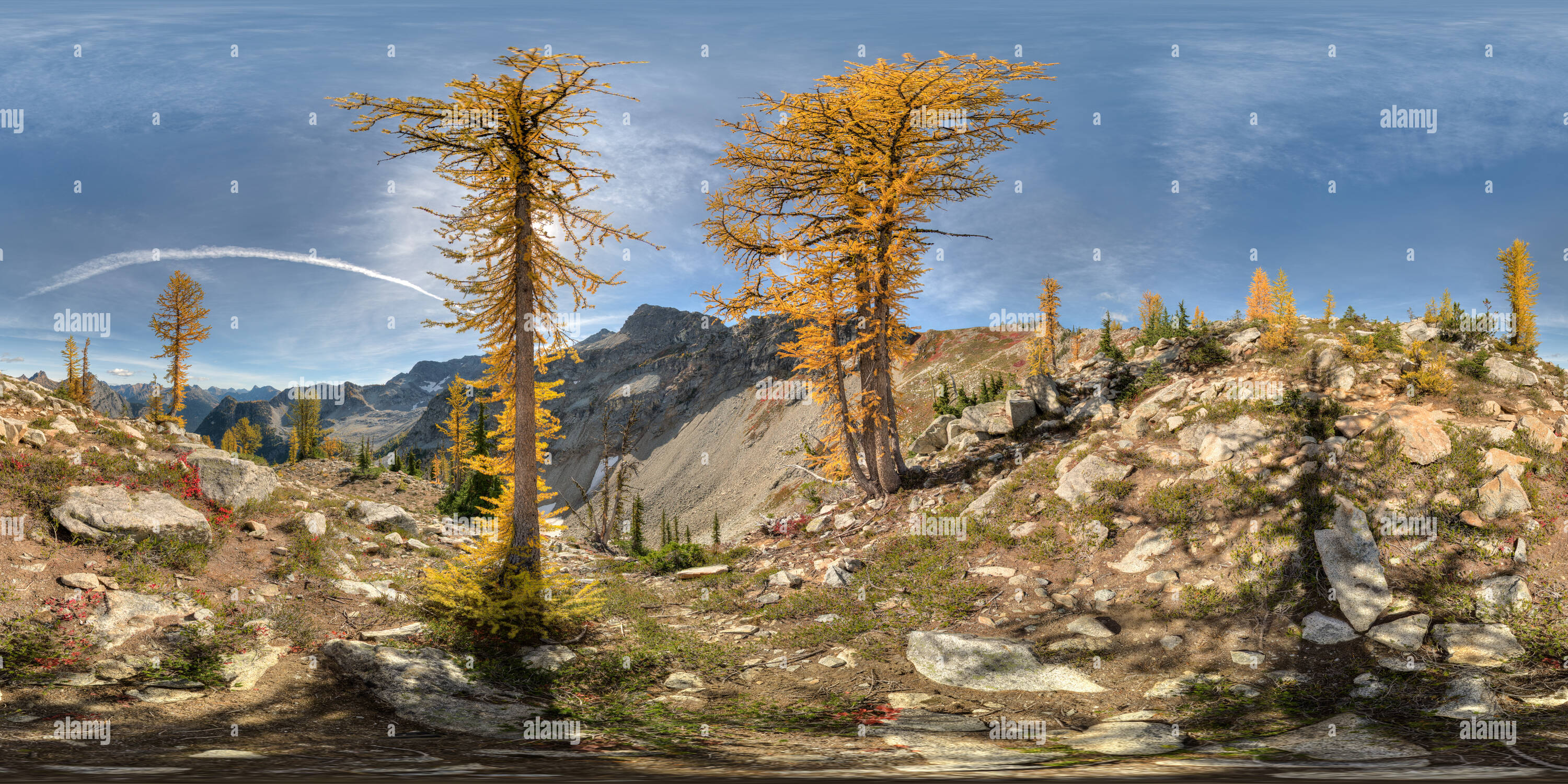 360° view of Alpine Larches, Maple Pass Trail, North Cascades, WA State ...