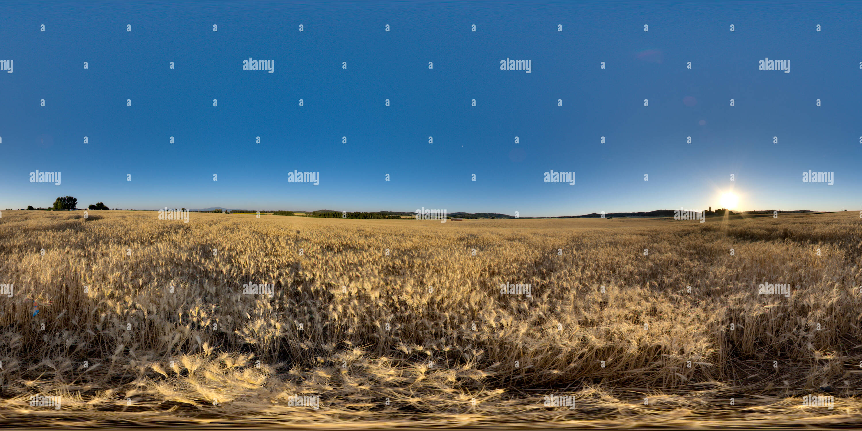 360° view of Wheat Fields of Washington - Alamy