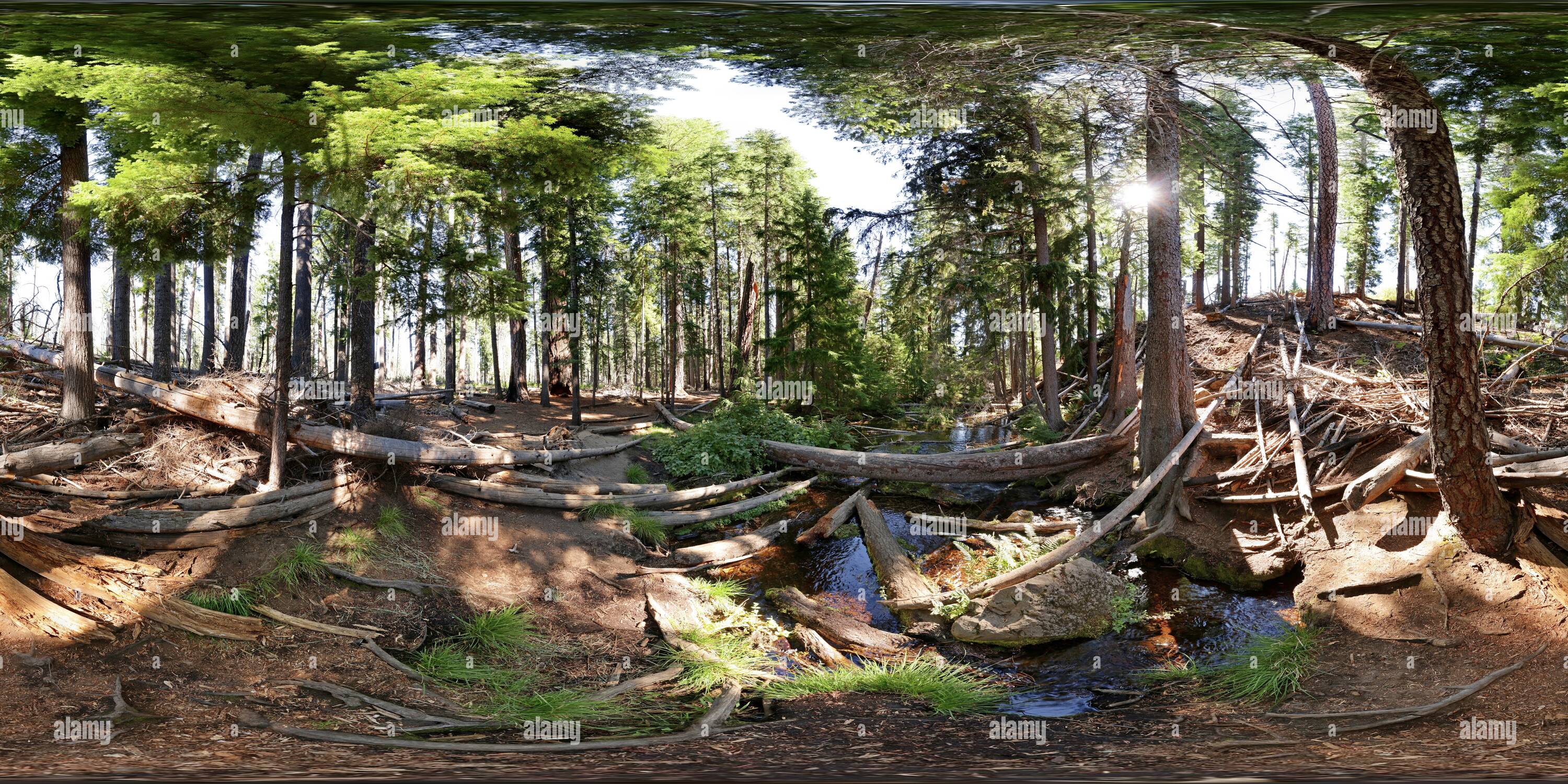 360° view of Head of Jack Creek - Alamy