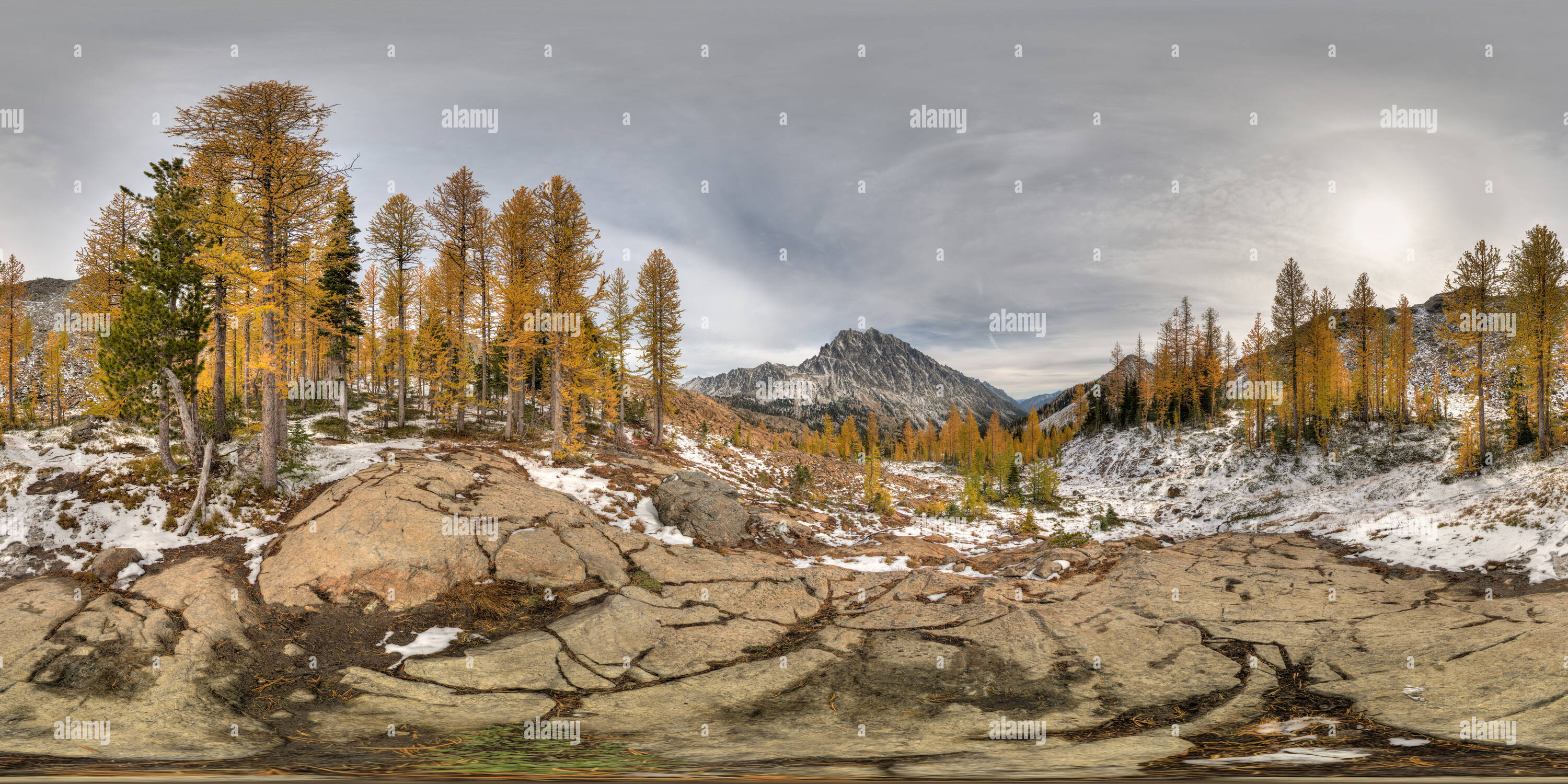 360° view of Golden Alpine Larches in Headlight Basin, Alpine Lakes ...