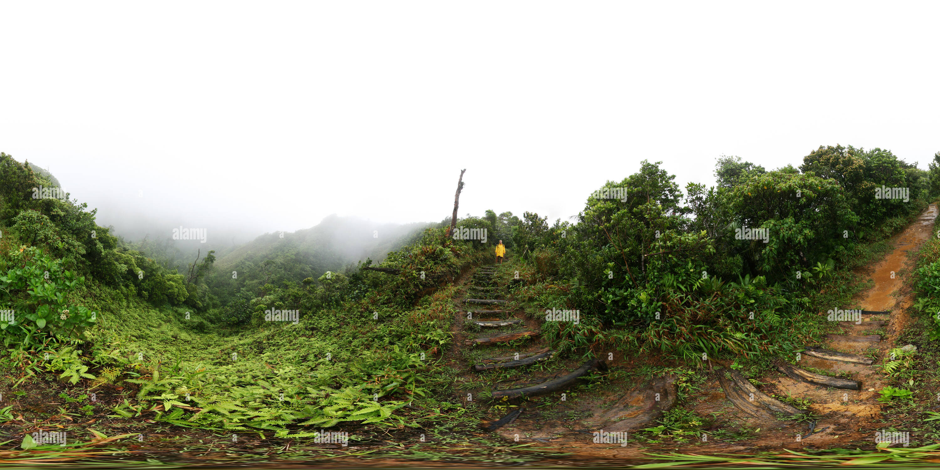 360° view of Dominica Island (Caribbean) - trip to Boiling Lake, Morne ...