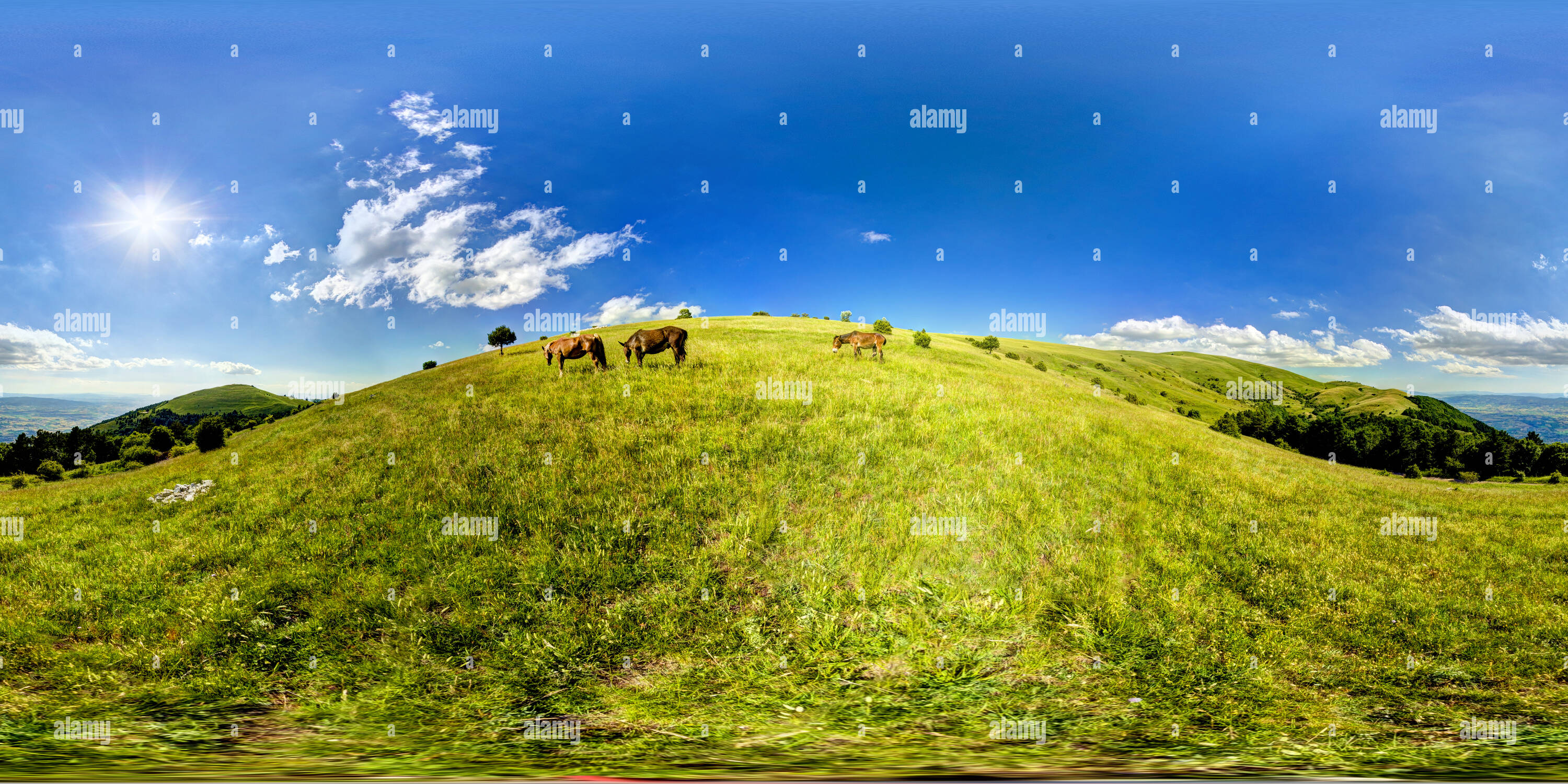 360° view of On the alp at Monte Subasio, Assisi - Alamy