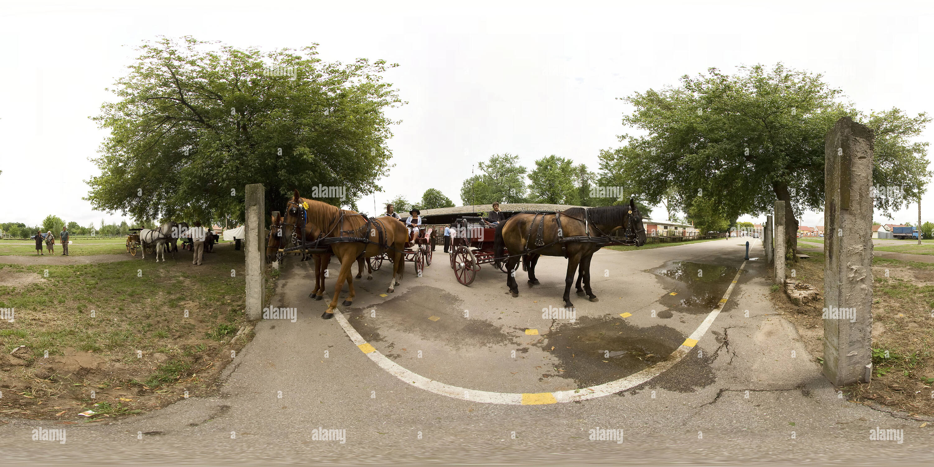 360° view of Rider cars to the procession - Alamy