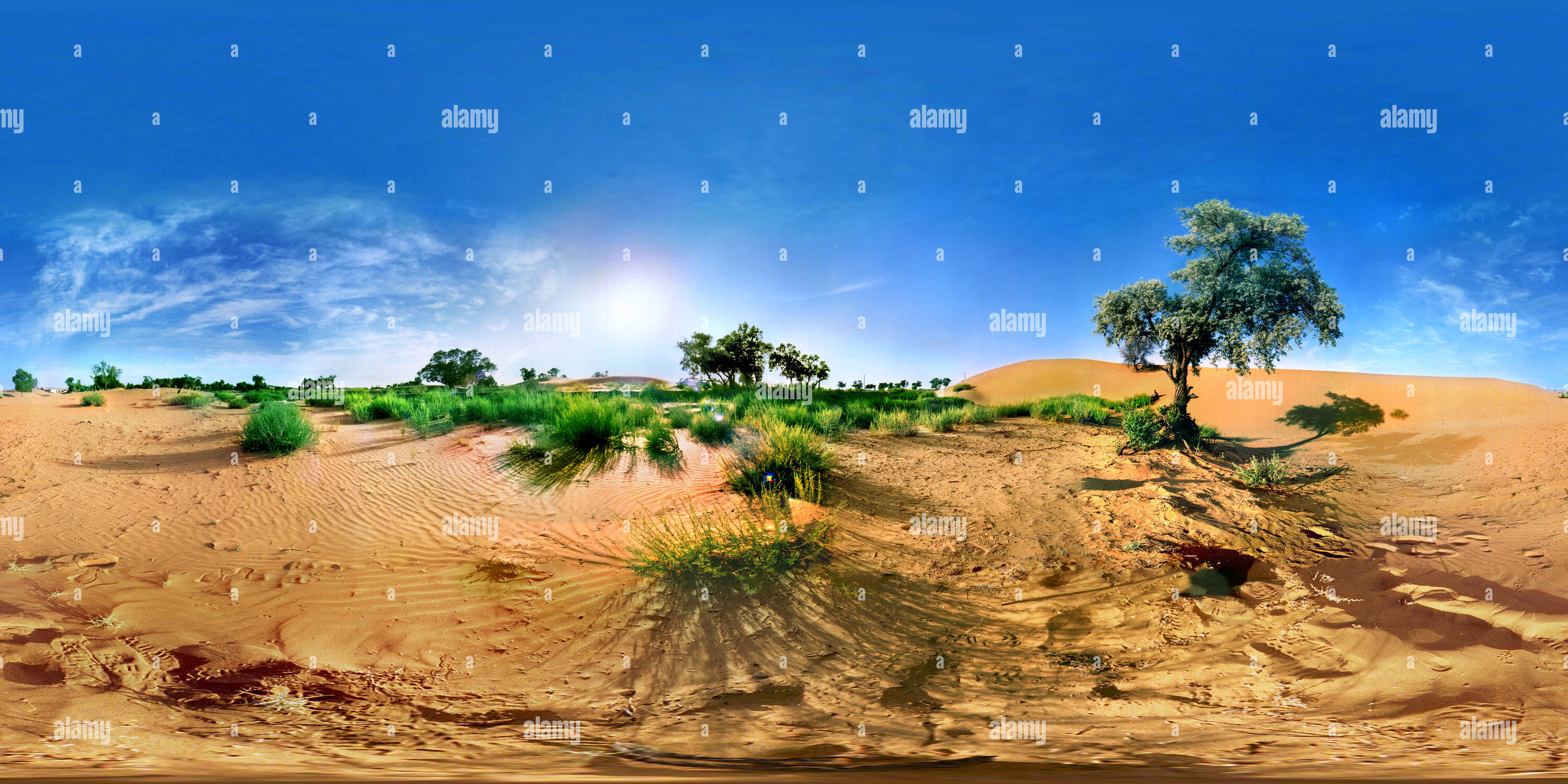 Desaert date hi-res stock photography and images - Alamy