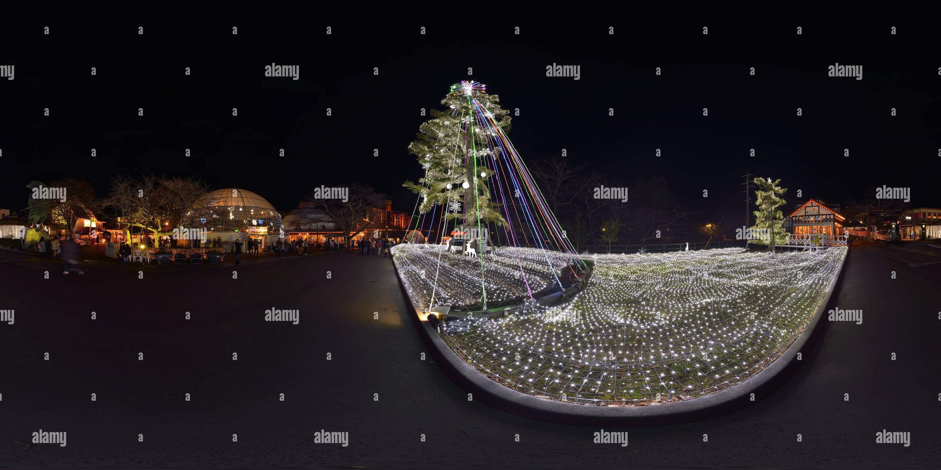 Sumika hi-res stock photography and images - Alamy