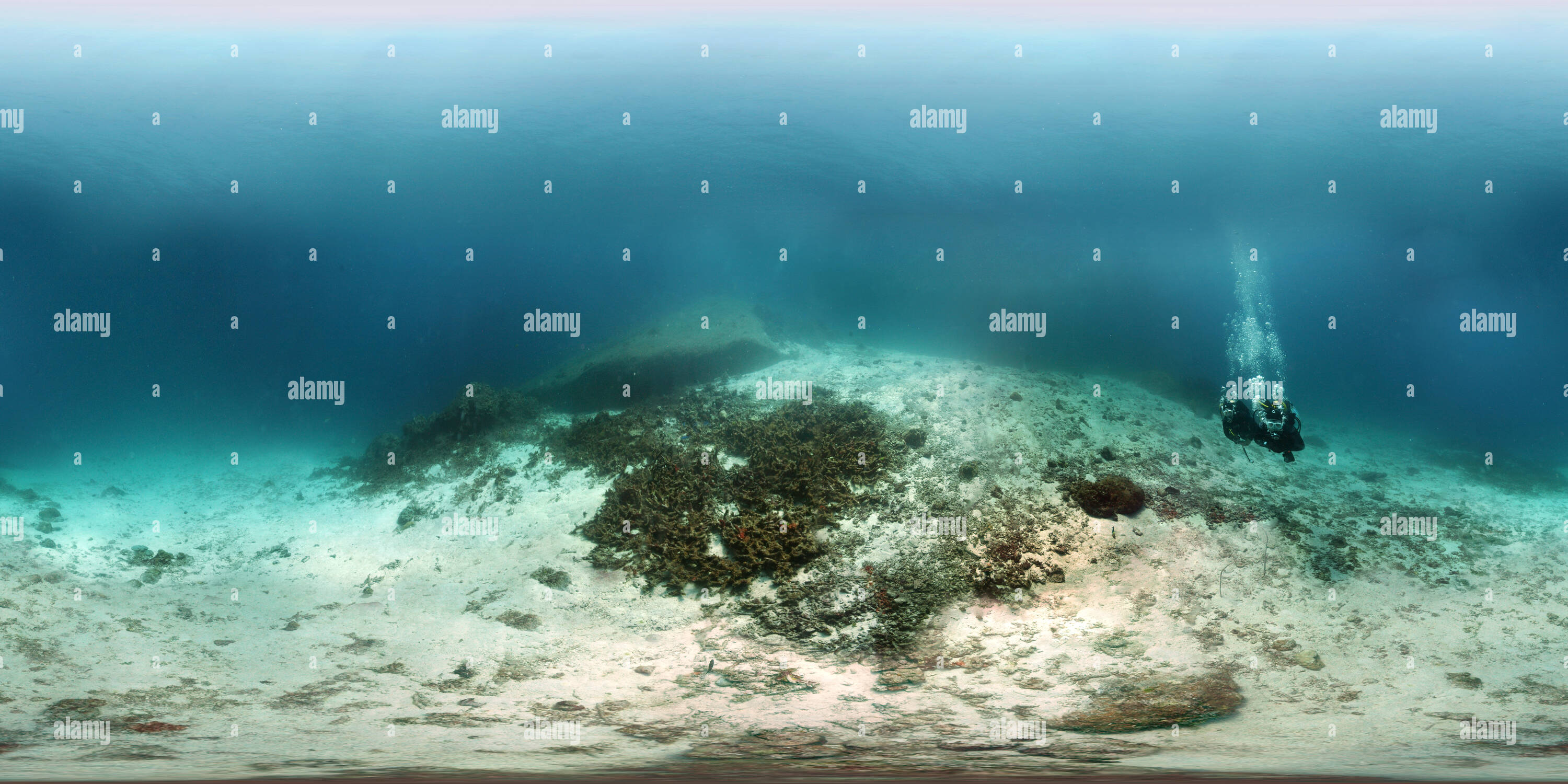 360° view of Racha Noi Dive - Alamy