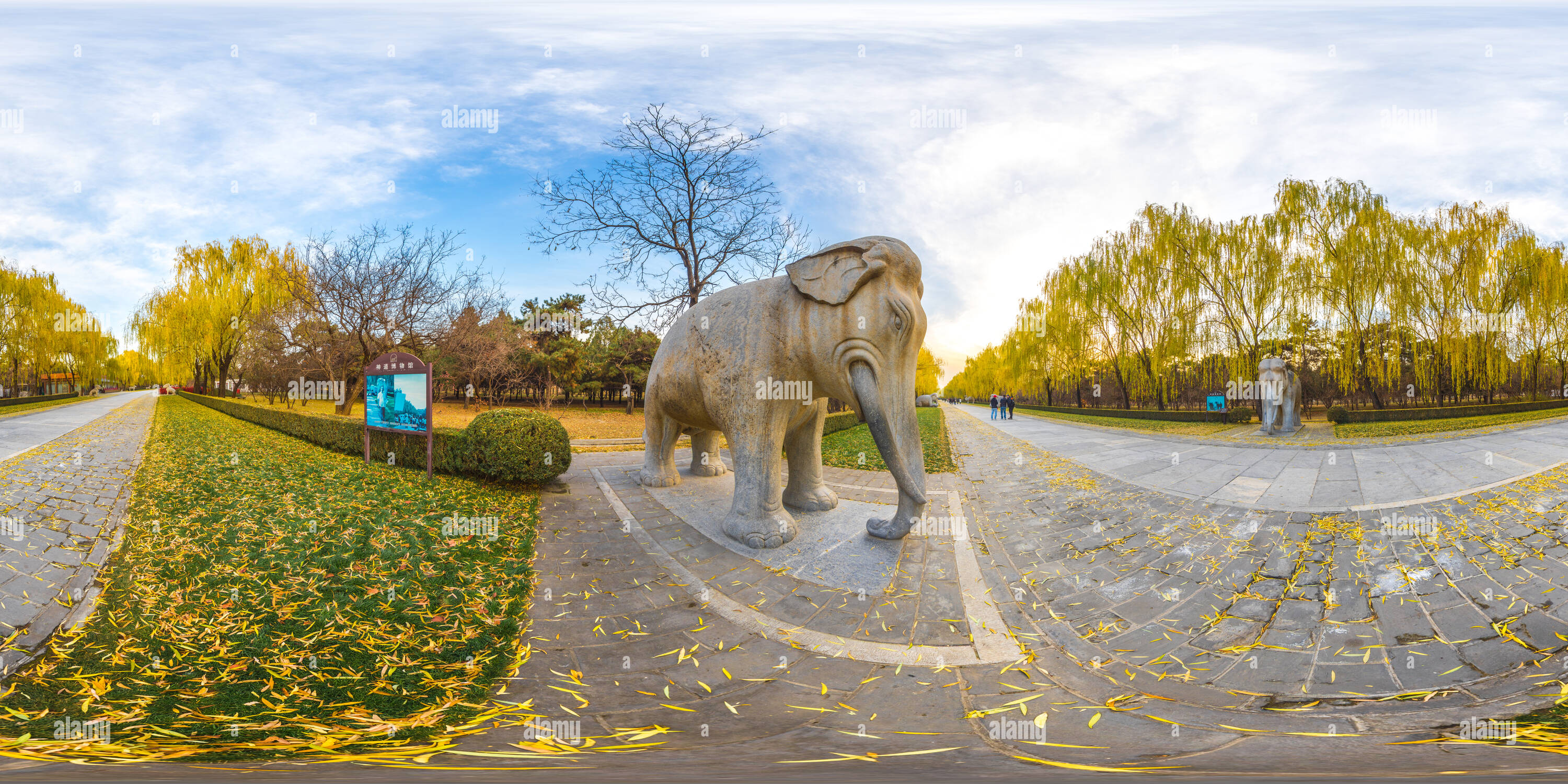 Seelenweg hi-res stock photography and images - Alamy